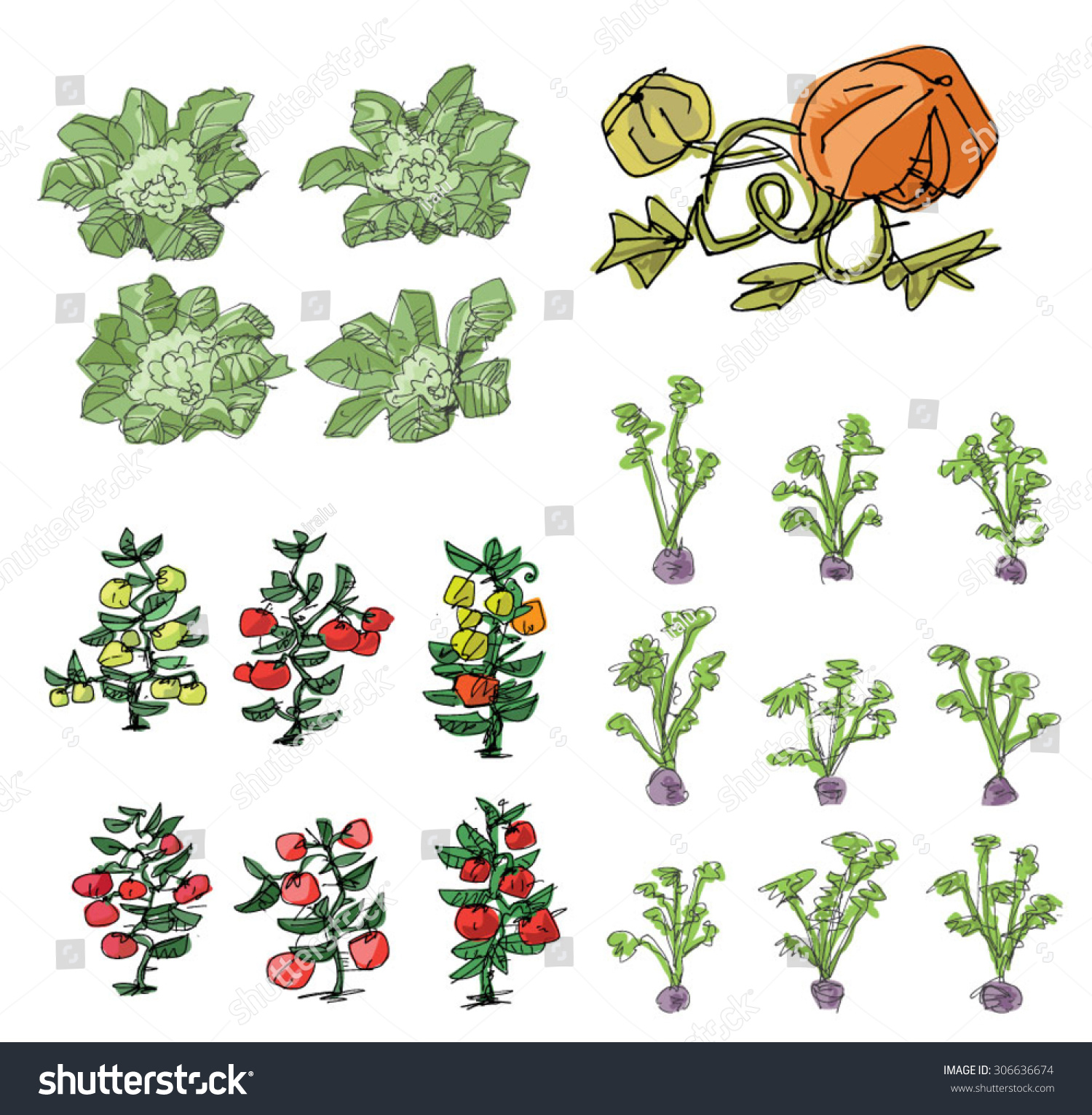 Kitchengarden Cartoon Stock Vector (Royalty Free) 306636674 | Shutterstock
