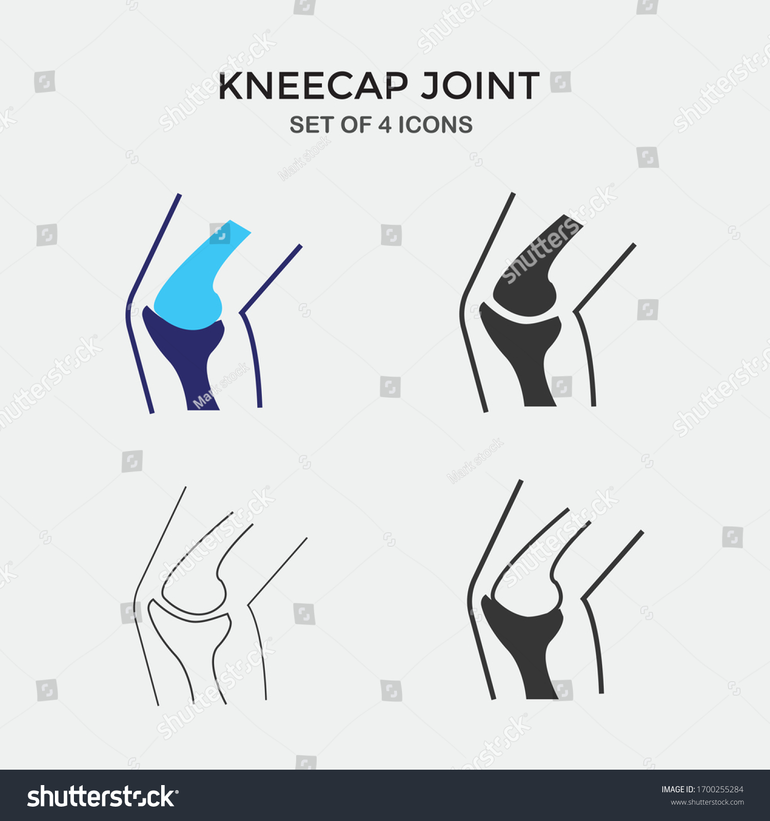 Knee Cap Joint Vector Icon Human Stock Vector (Royalty Free) 1700255284