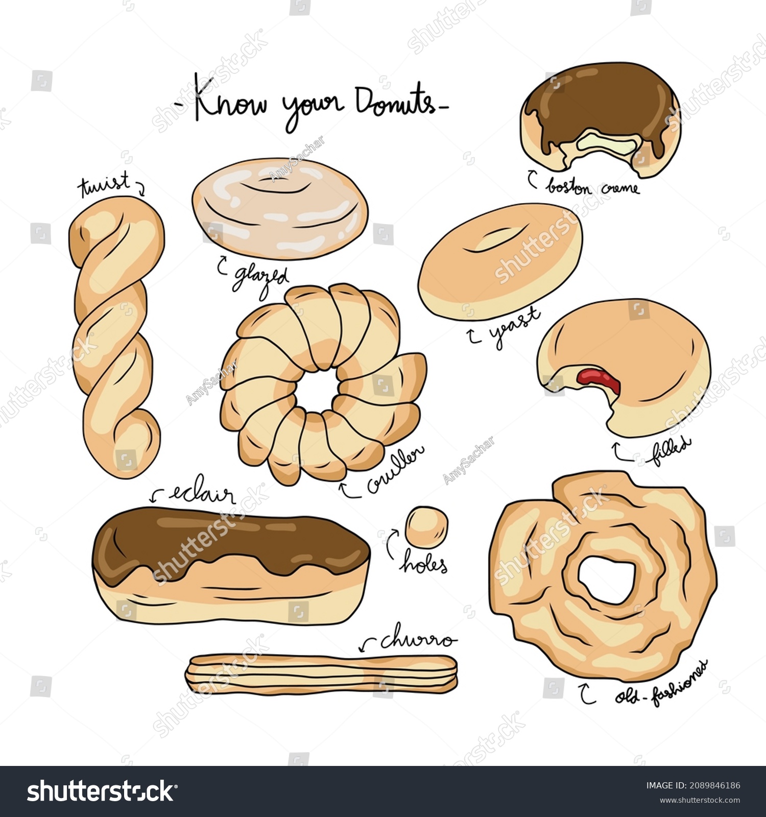 Know Your Donuts Chart Vector Illustration Stock Vector (Royalty Free ...
