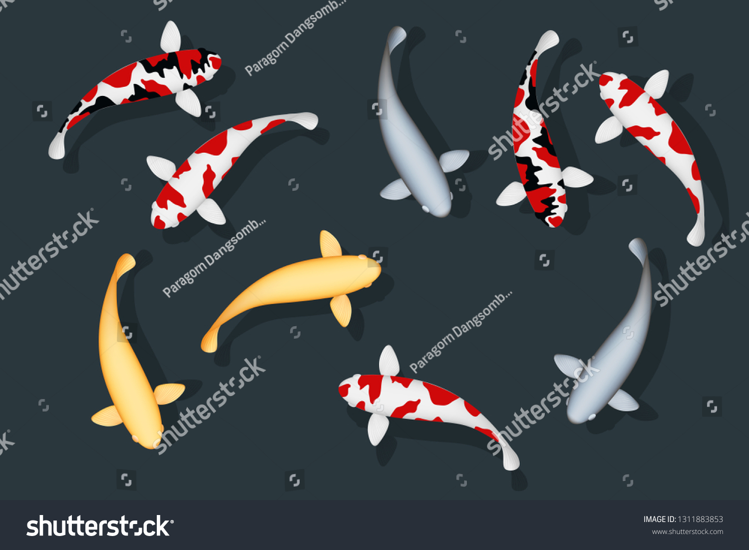 Koi Fish Graphic Vector Stock Vector (Royalty Free) 1311883853 ...