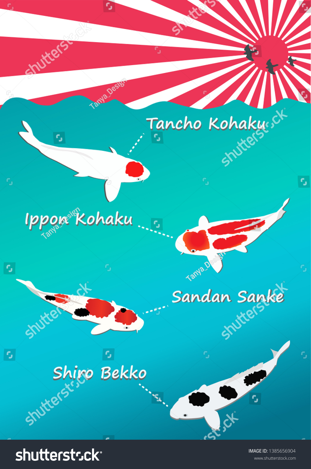 Koi Fish Types: เวกเตอร์สต็อก (ปลอดค่าลิขสิทธิ์) 1385656904 | Shutterstock