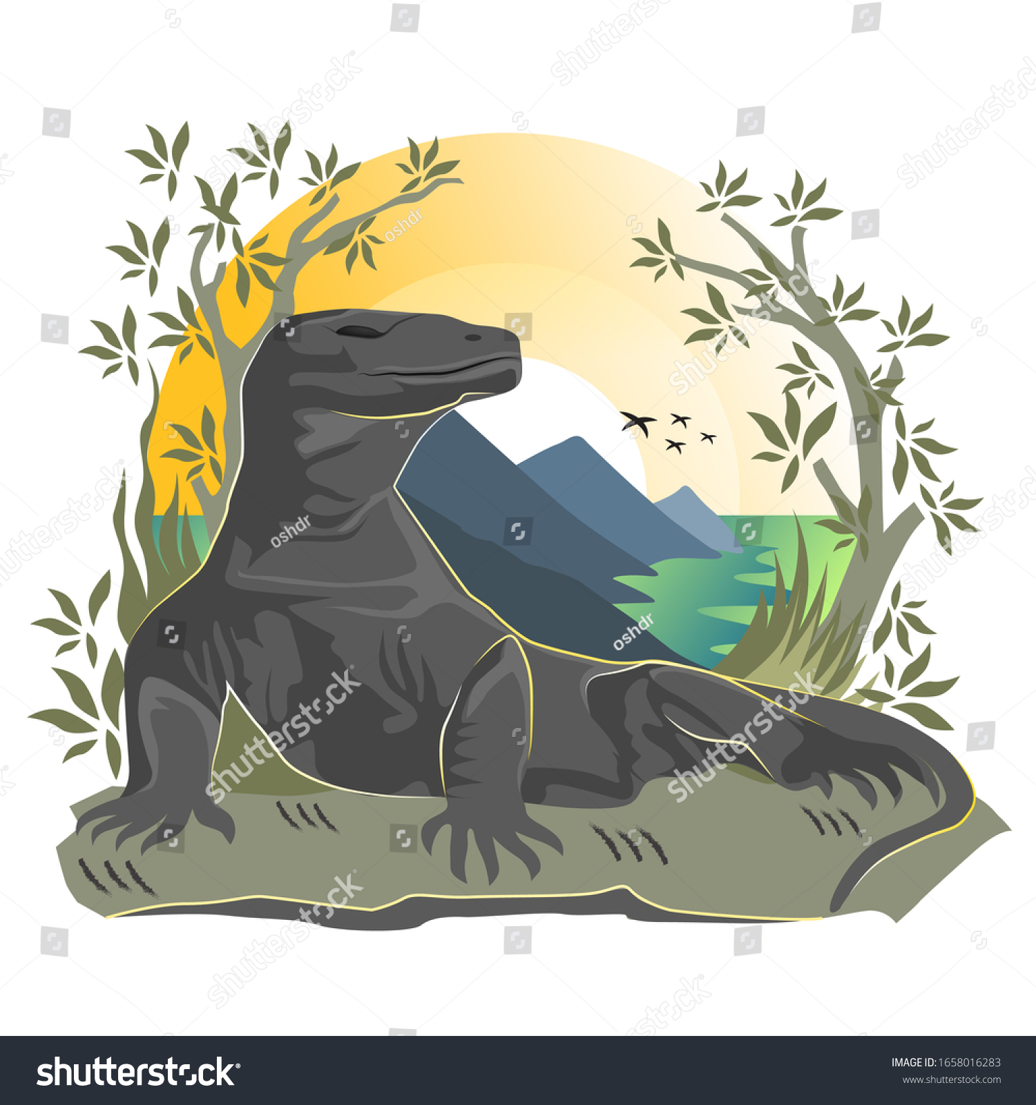 759 Komodo logo Images, Stock Photos & Vectors | Shutterstock