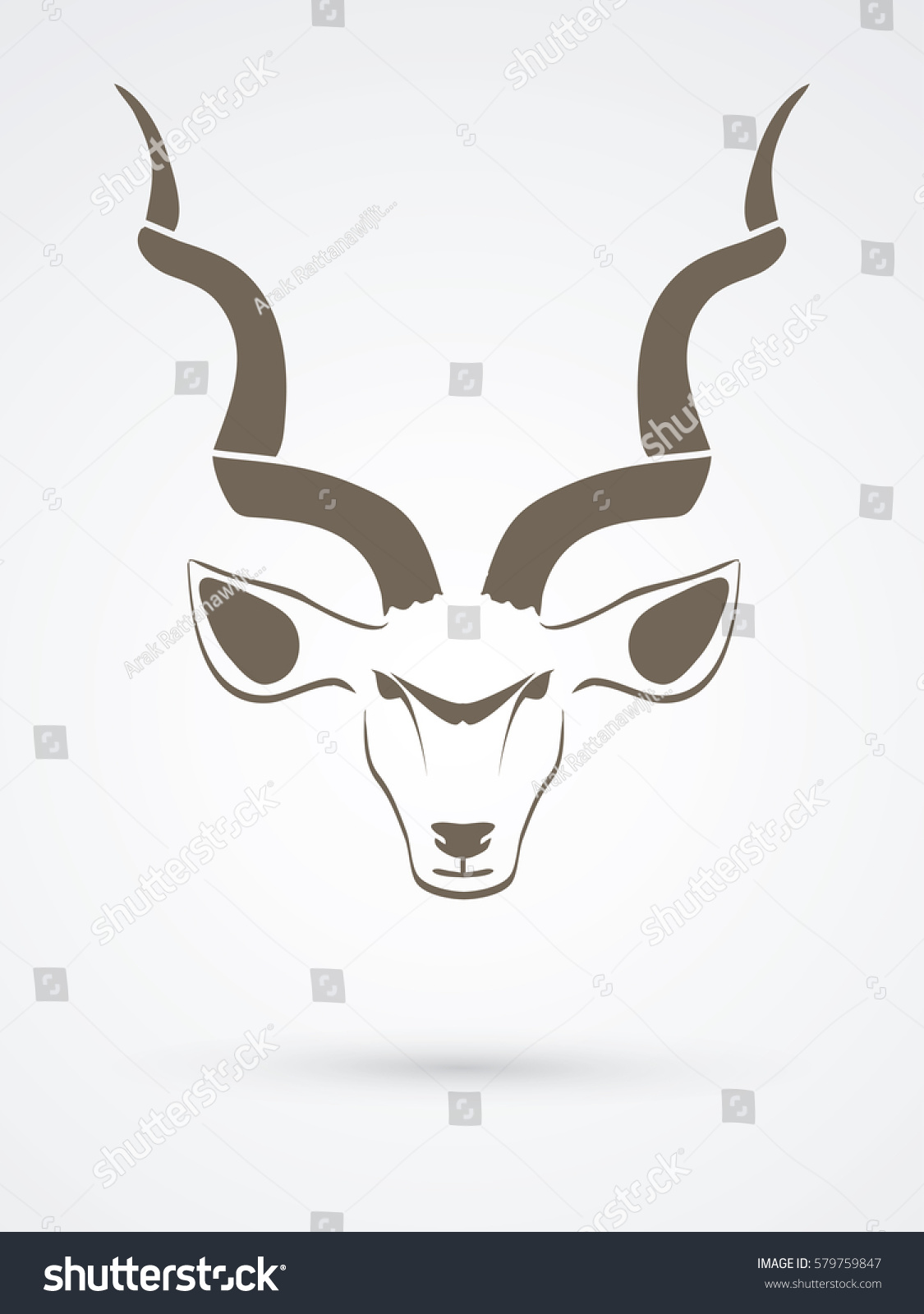 Kudu Head Front View Graphic Vector Stock Vector (Royalty Free) 579759847