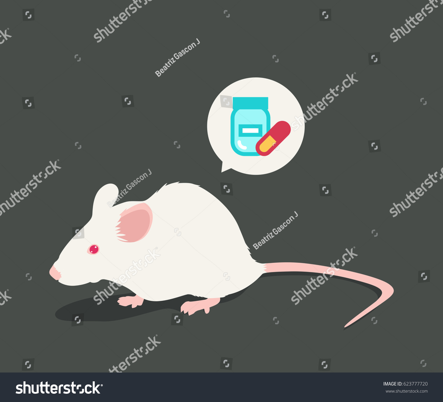 Lab White Rat Vector Illustration Pills Stock Vector (Royalty Free ...