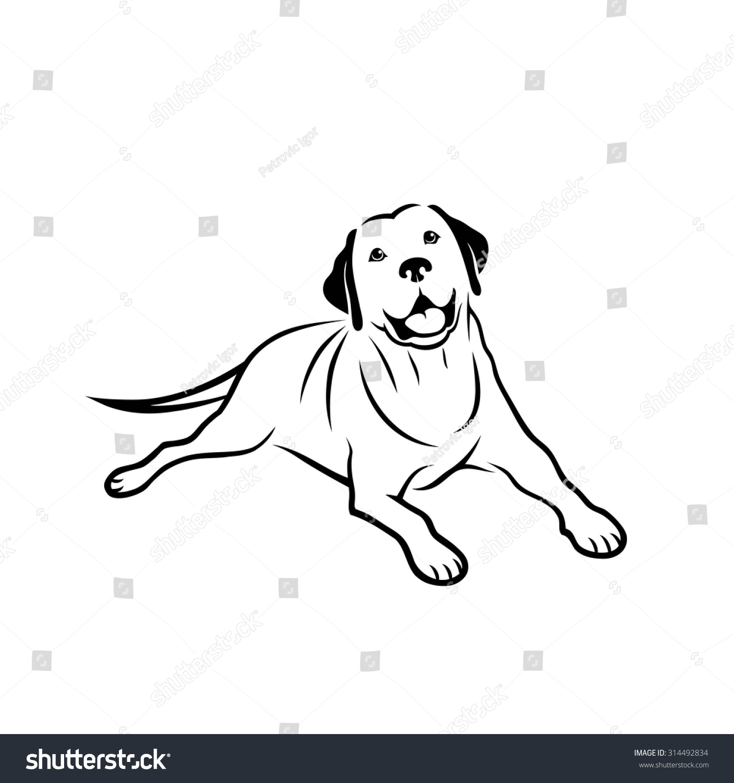 Labrador Retriever Vector Illustration Stock Vector (Royalty Free ...