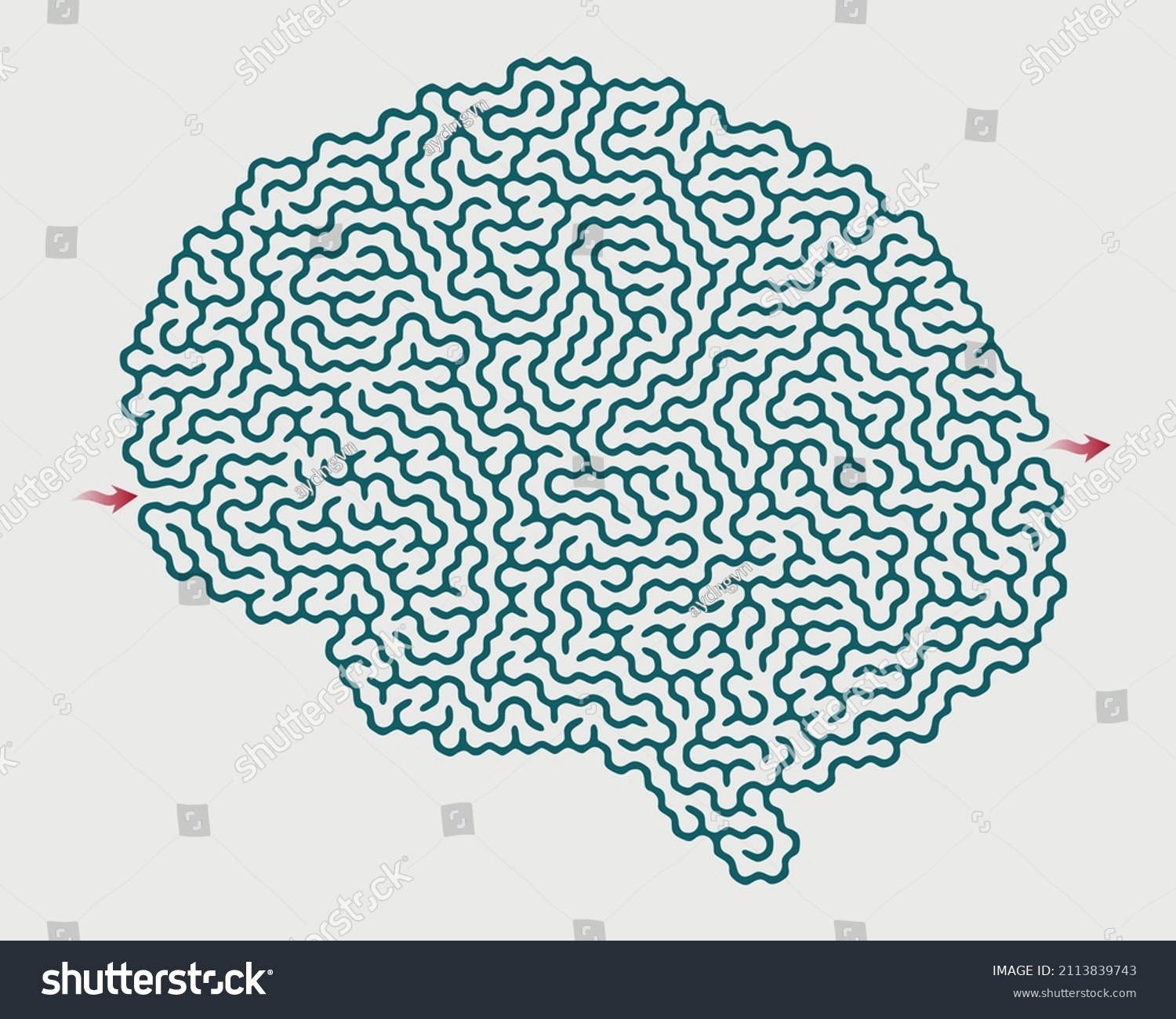Labyrinth Vector Brain Shape Maze Labyrinth: เวกเตอร์สต็อก (ปลอดค่า ...