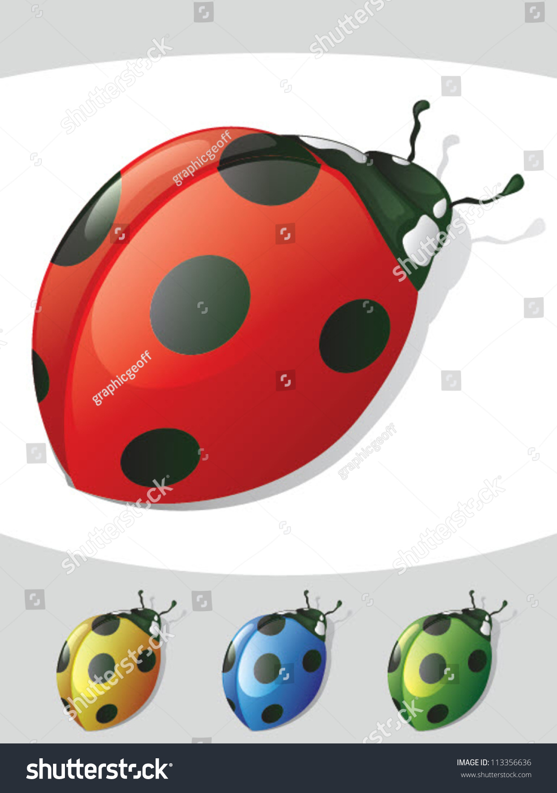 Lady Bug Detailed Colors Stock Vector (Royalty Free) 113356636 ...