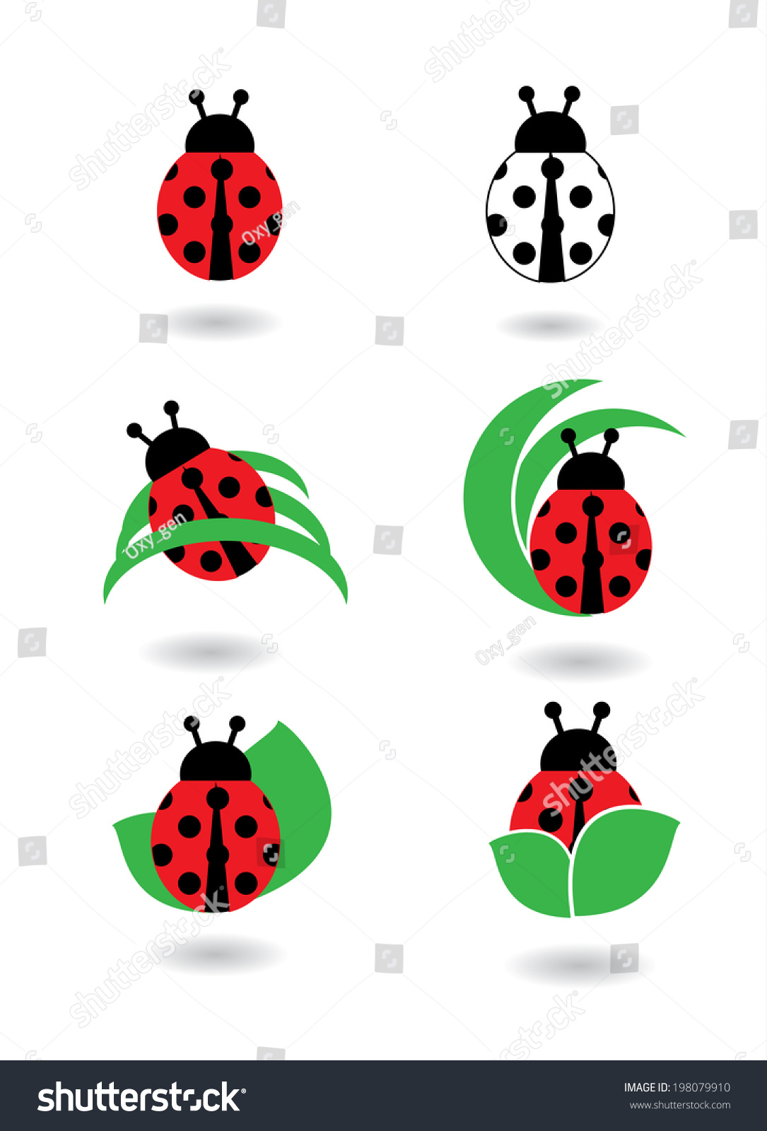 Ladybug Icons Set Vector Illustration Stock Vector (Royalty Free) 198079910