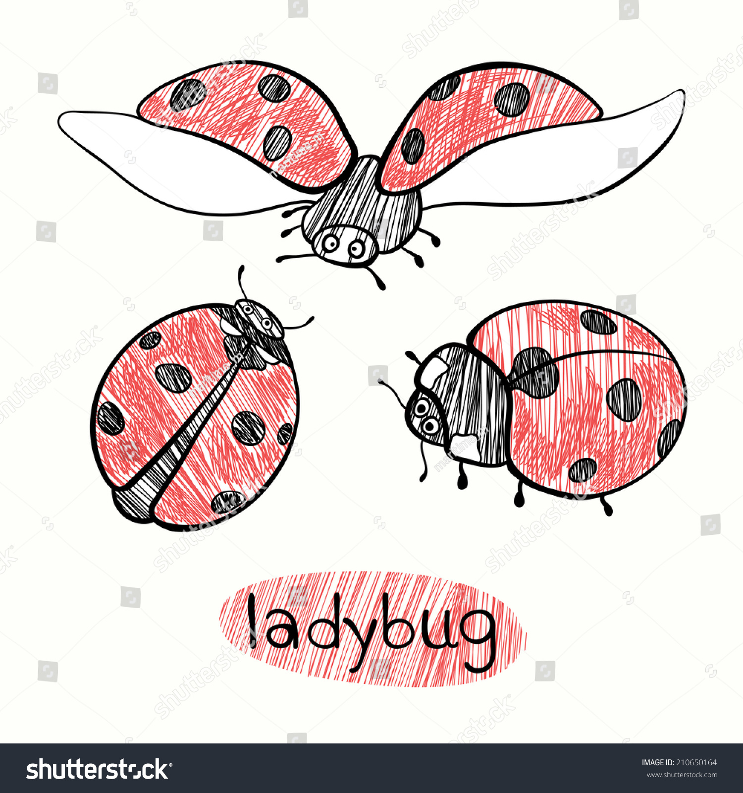 Ladybugs Hand Drawn Vector Illustration Stock Vector (Royalty Free ...