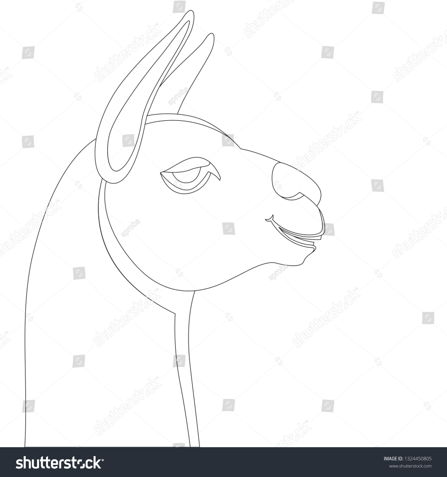 Lama Head Vector Illustration Lining Draw: vetor stock (livre de ...