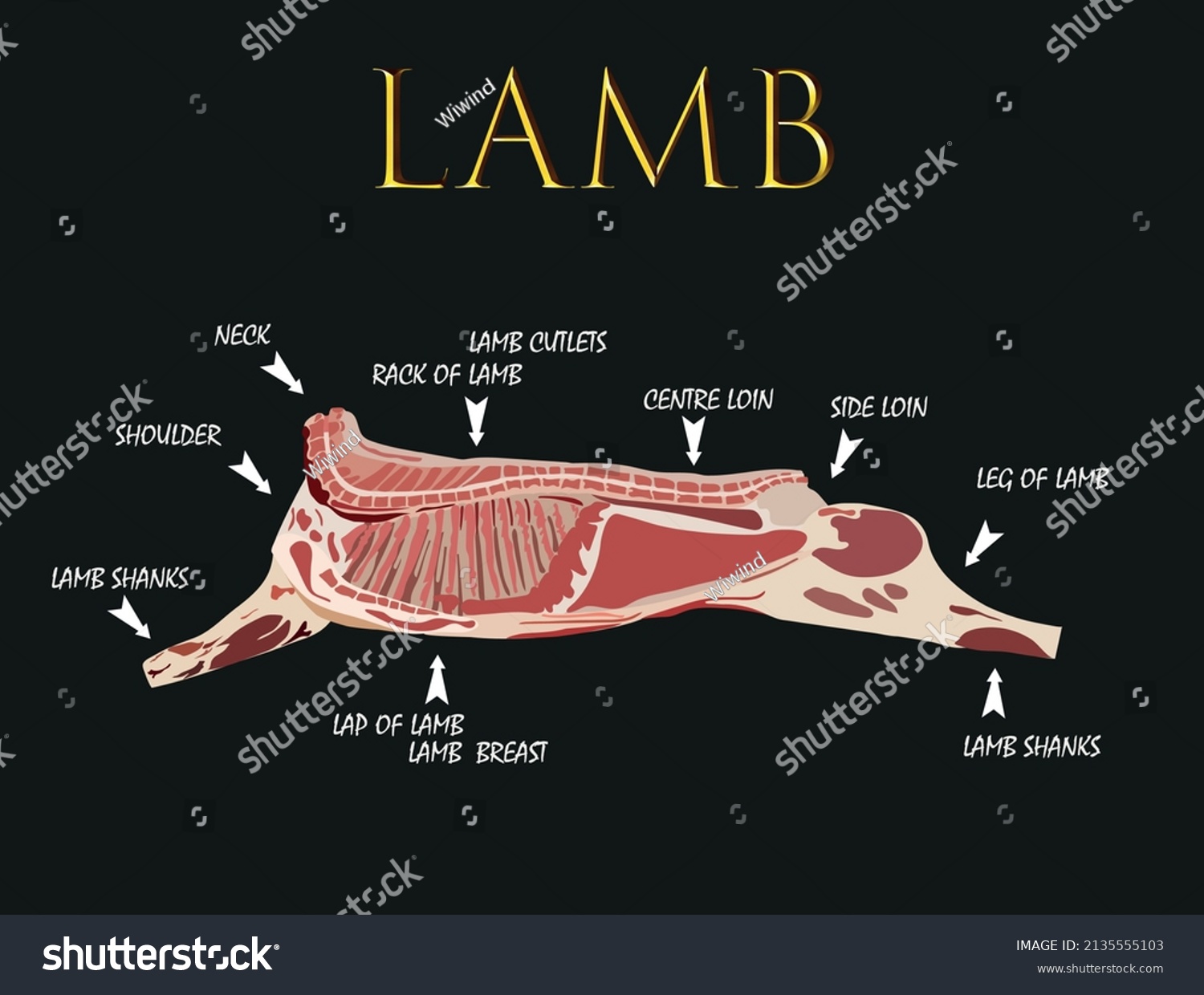 Lamb Carcase Poster Butcher Diagram Scheme Stock Vector Royalty Free 2135555103