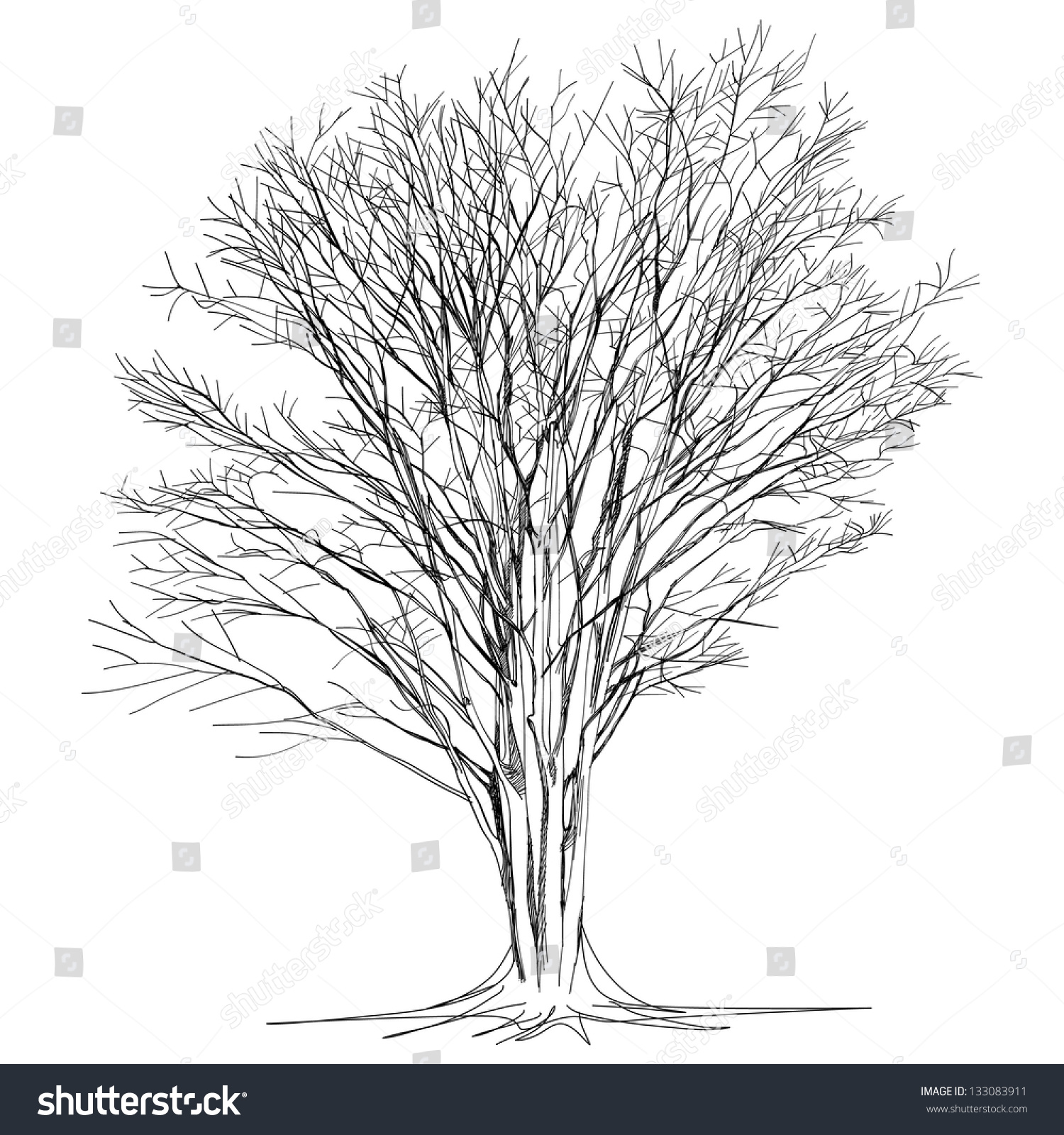 Large Bare Tree Without Leaves Hand Stock Vector (Royalty Free ...