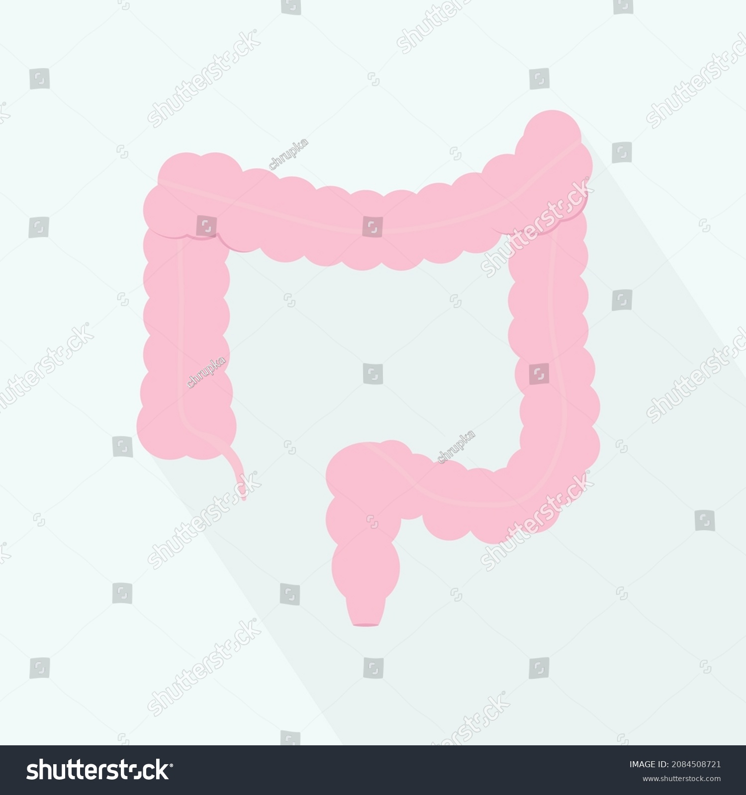 Large Bowel Icon Vector Illustration Stock Vector (Royalty Free ...