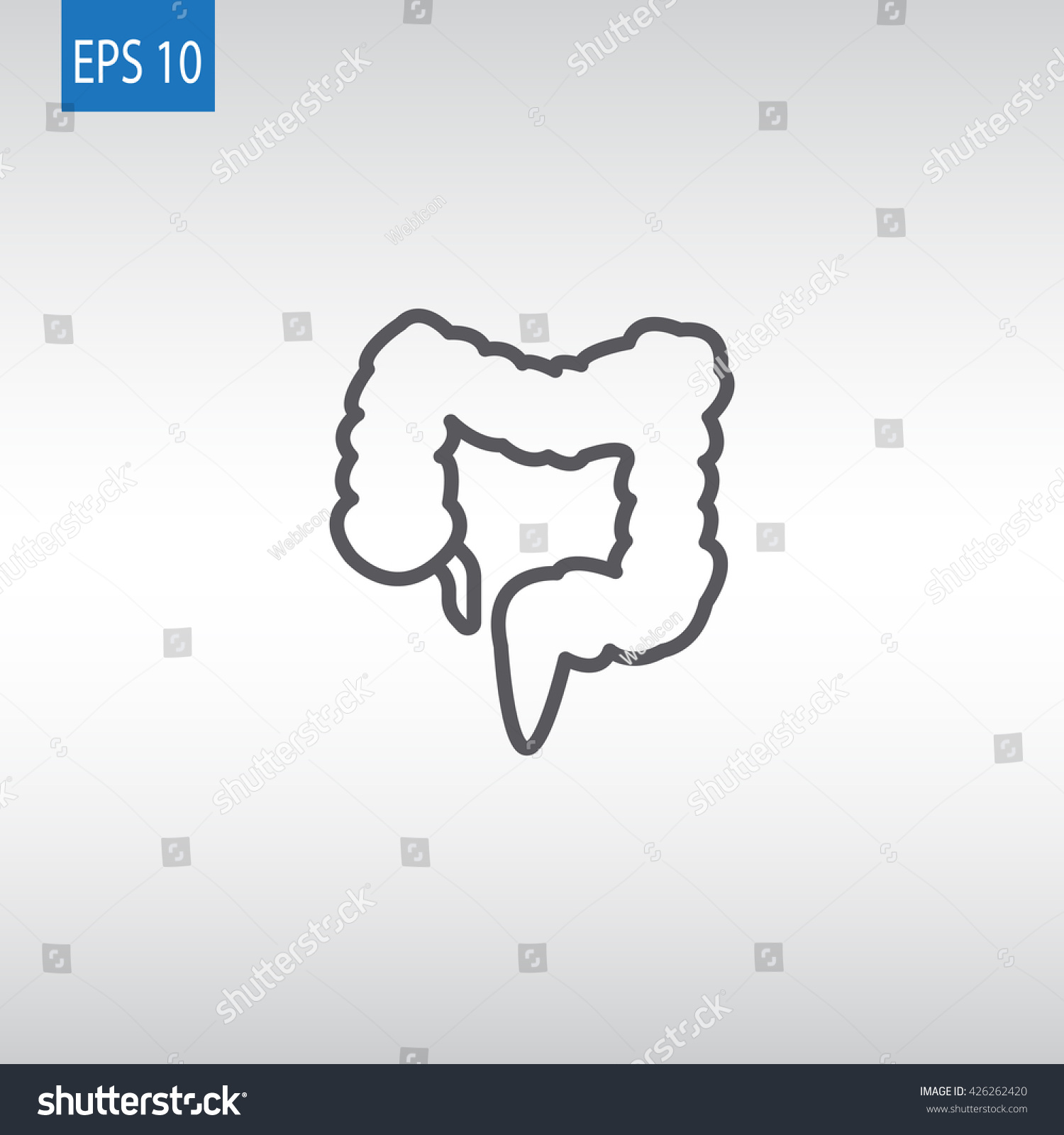 Large Intestine Icon Stock Vector (Royalty Free) 426262420