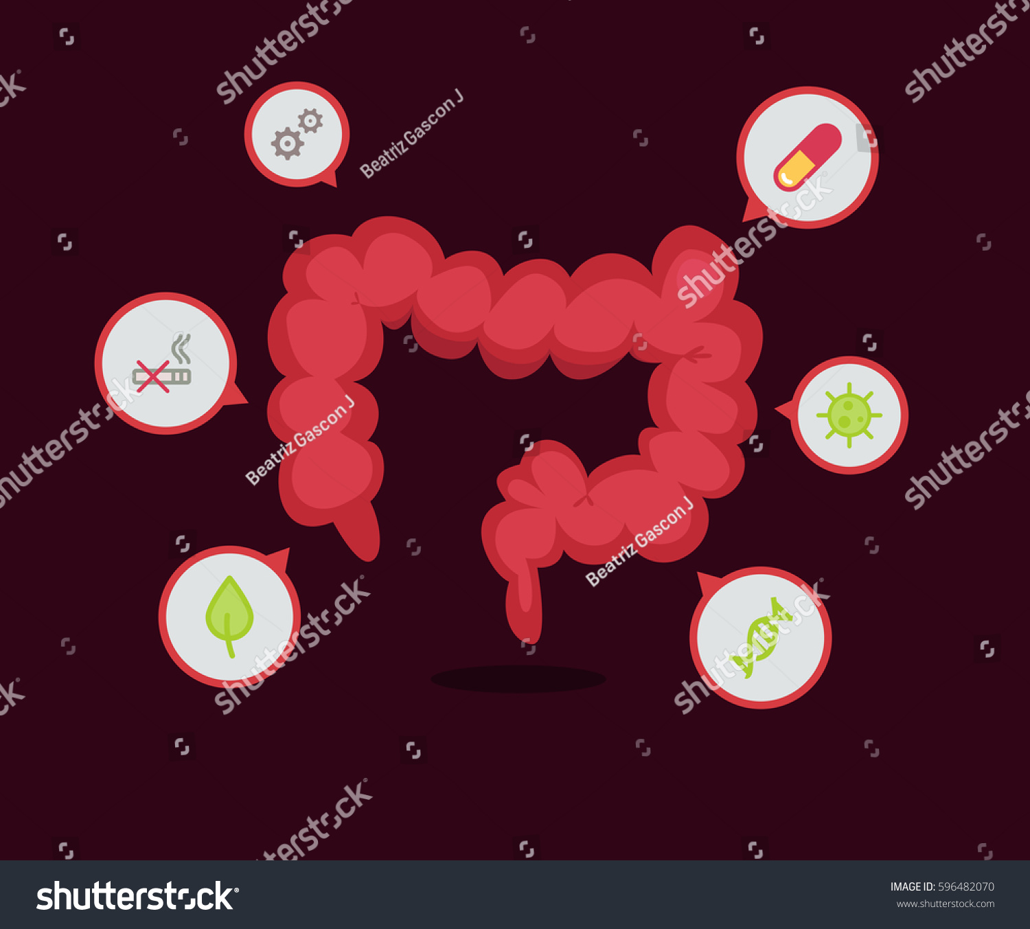 Large Intestine Vector Illustration Stock Vector (Royalty Free ...