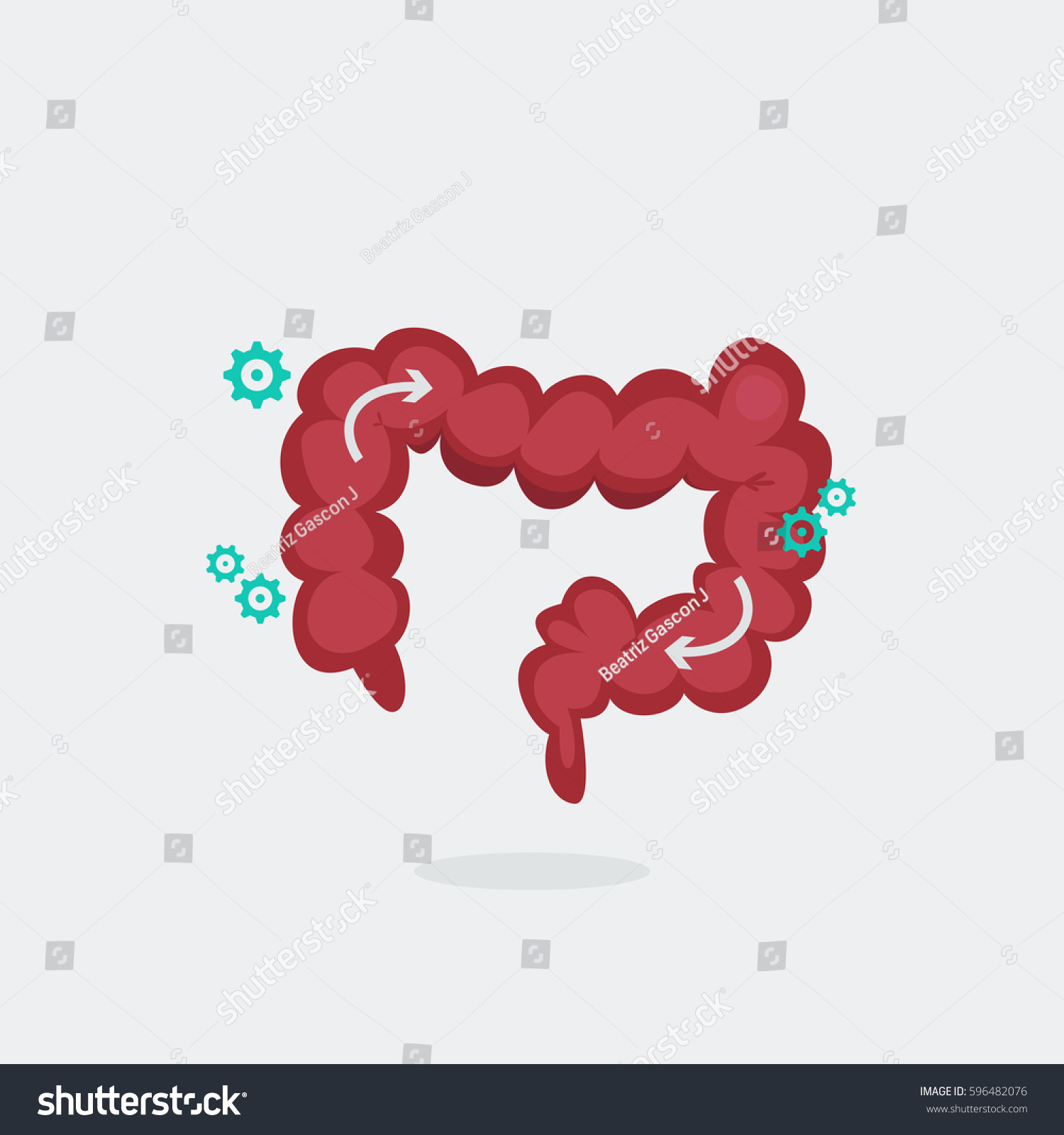 Large Intestine Vector Illustration Stock Vector (Royalty Free ...