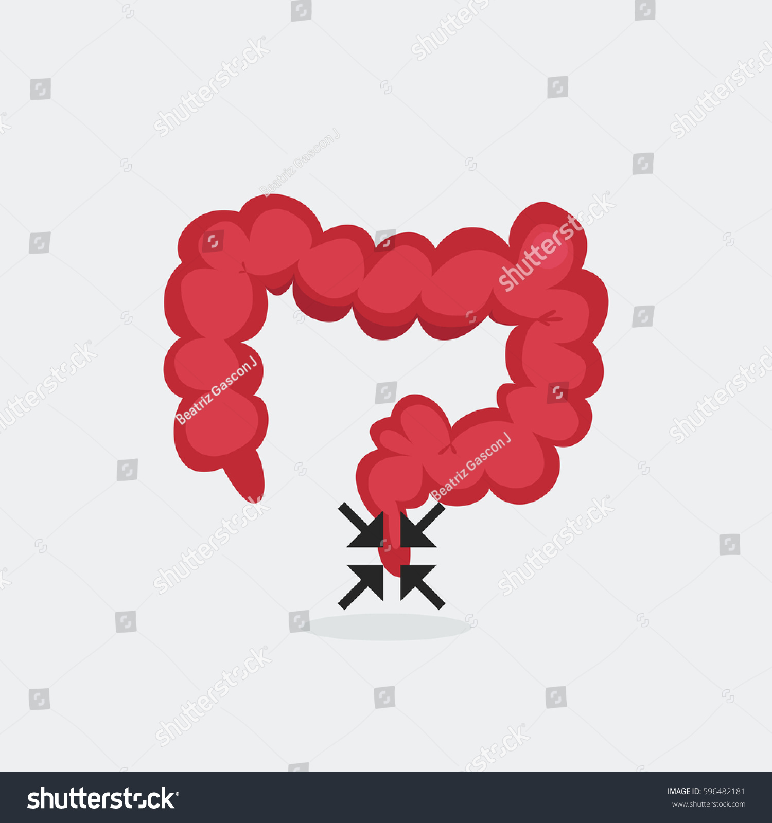 Large Intestine Vector Illustration 库存矢量图（免版税）596482181 | Shutterstock