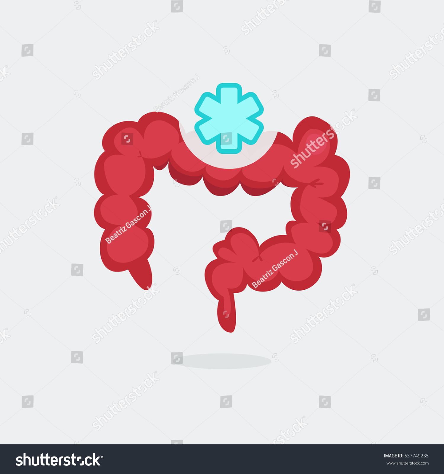 Large Intestine Vector Illustration Stock Vector (Royalty Free ...