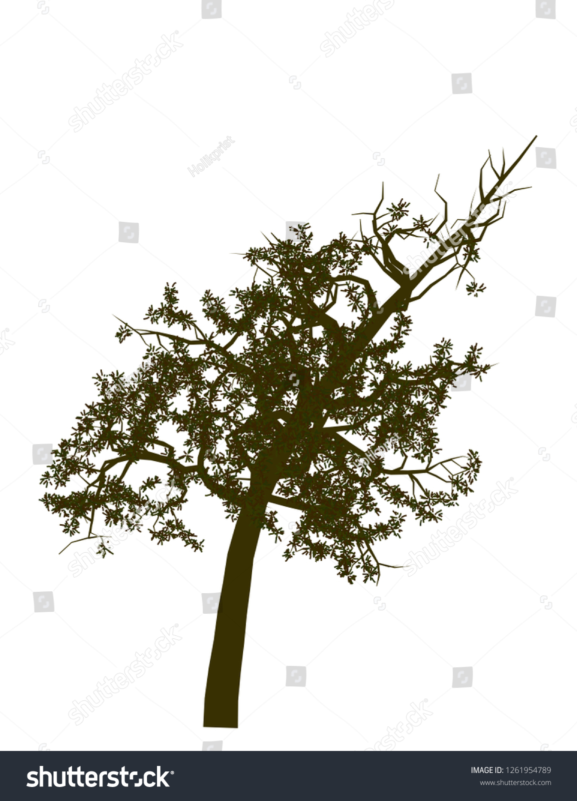 Large Pretty Vector Tree Leaves Stock Vector (Royalty Free) 1261954789 ...