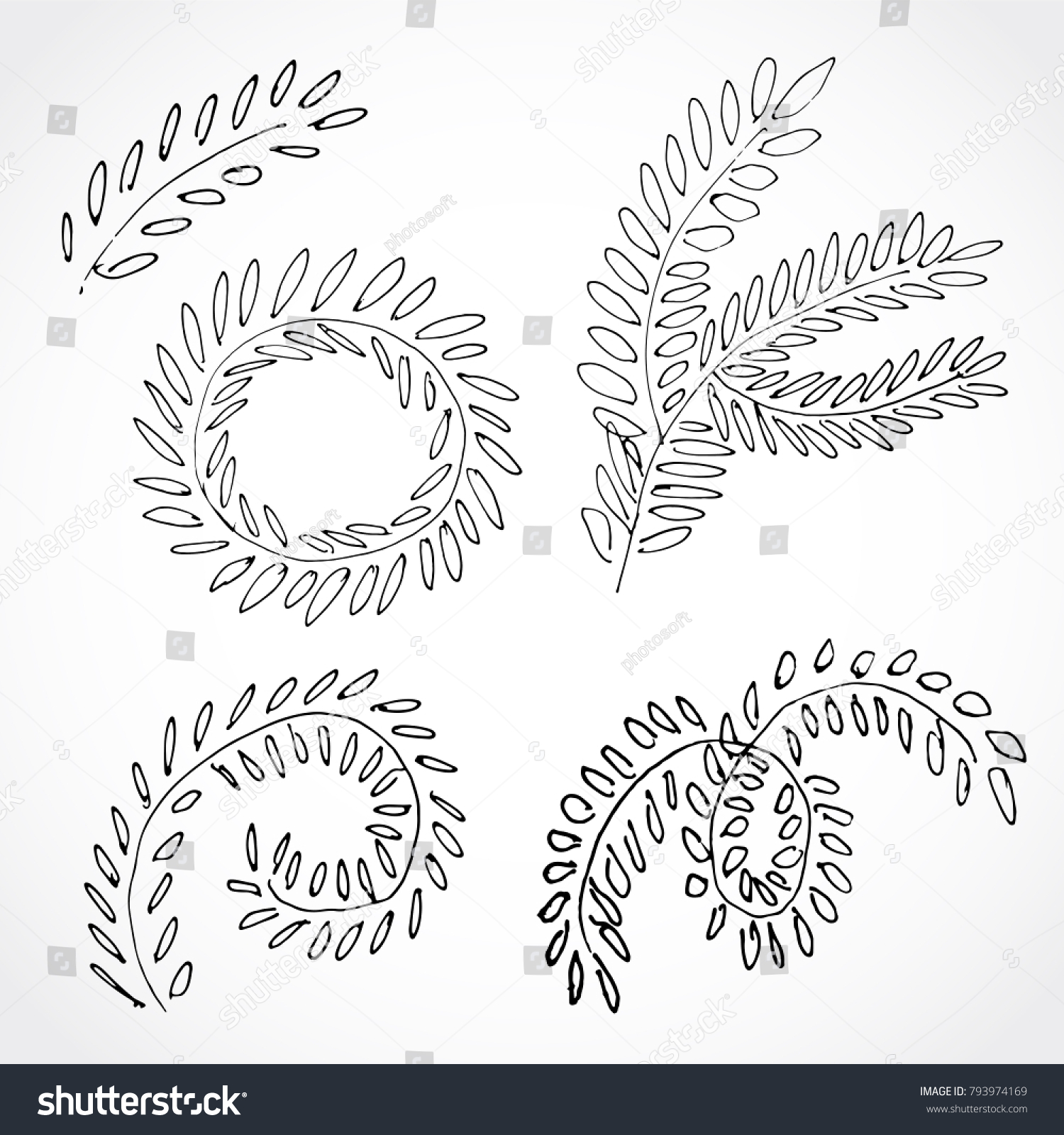 Laurel Branch Sketch Stock Vector (Royalty Free) 793974169 | Shutterstock