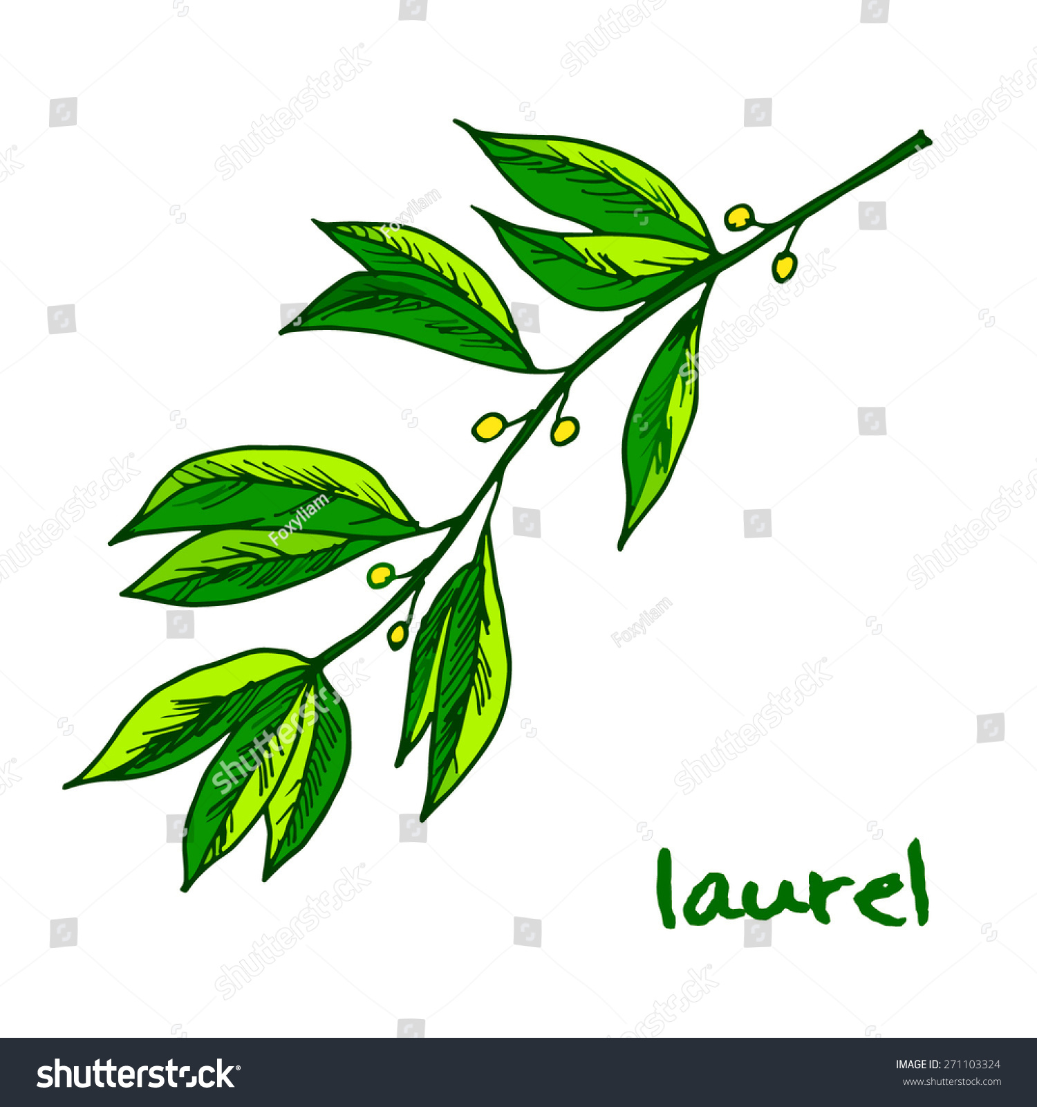 Laurel Branch Vector Illustration Stock Vector (Royalty Free) 271103324 ...