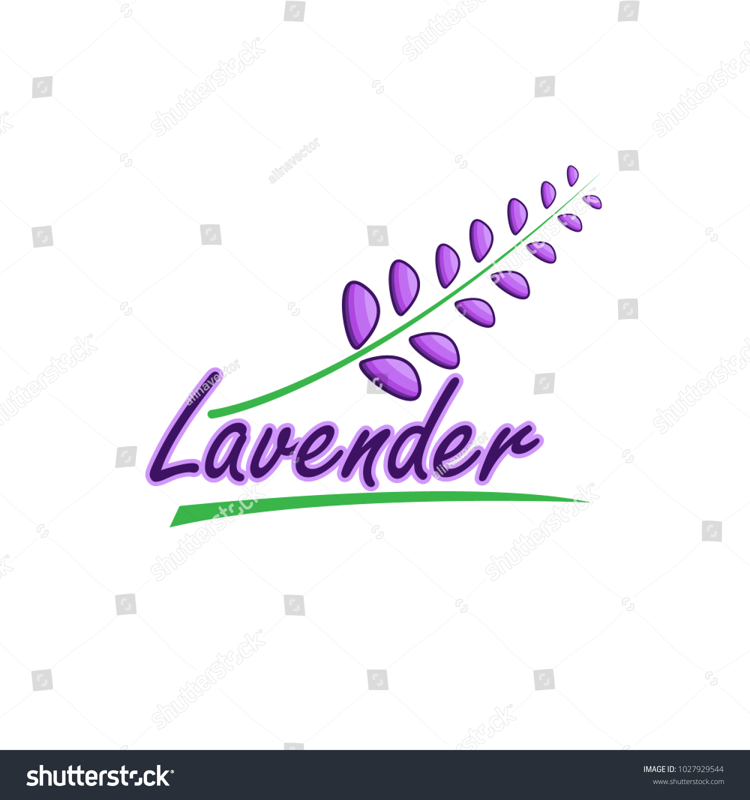 Lavender Flower Logo Design Stock Vector (Royalty Free) 1027929544 ...