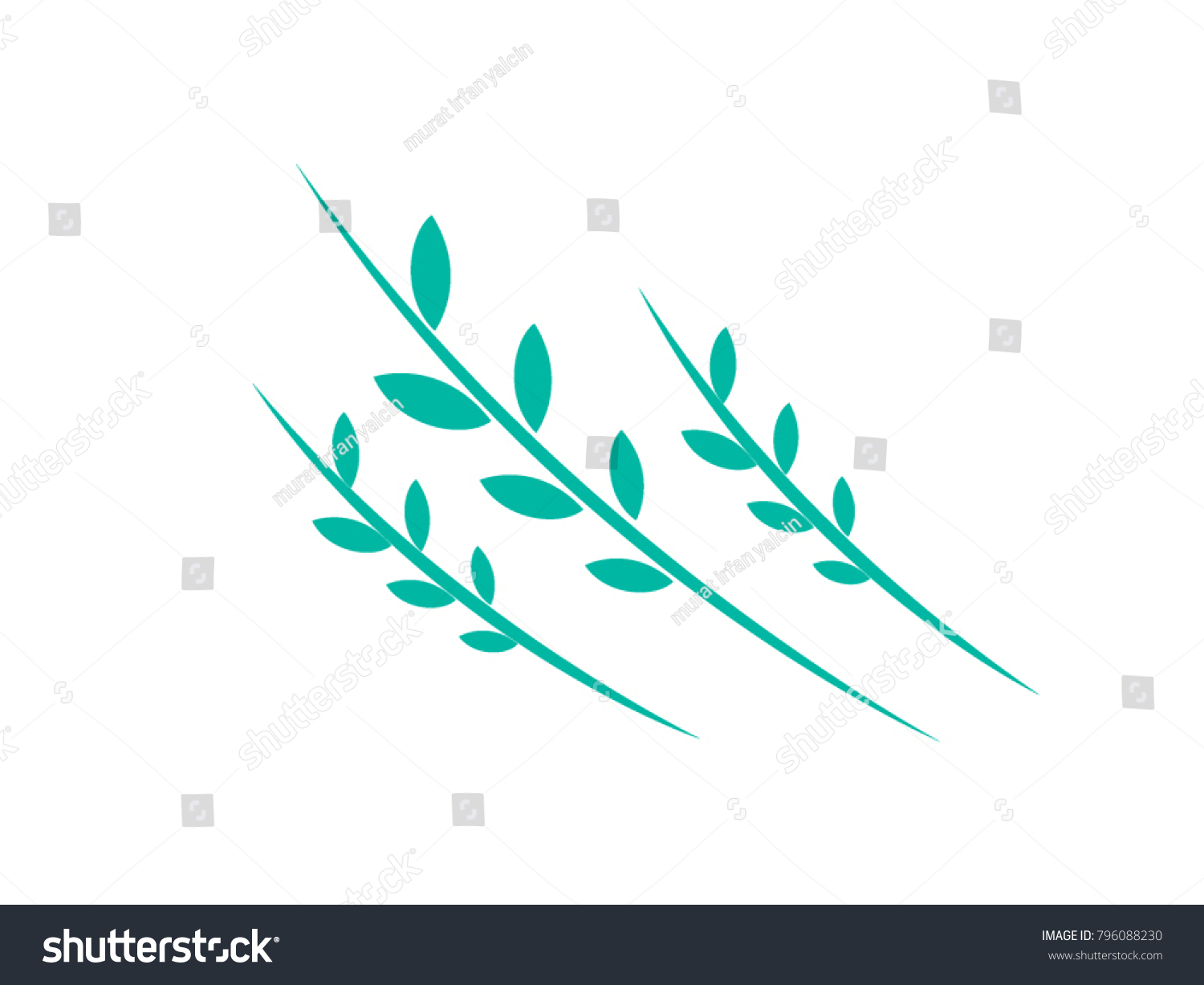 Leaf Branch Vector Drawing Stock Vector (Royalty Free) 796088230 ...