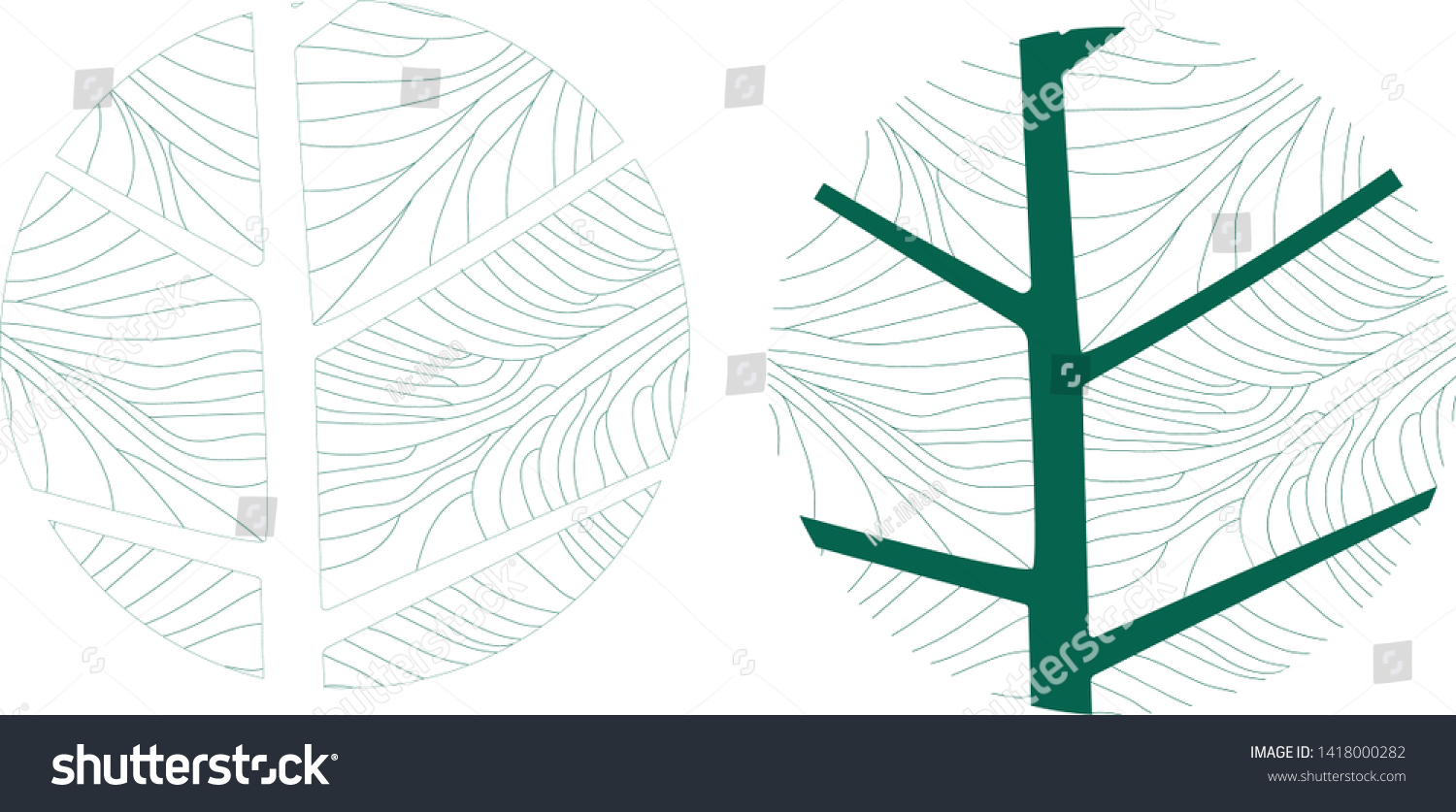 Leaf Details Hand Draw Vector Illustration Stock Vector (Royalty Free ...