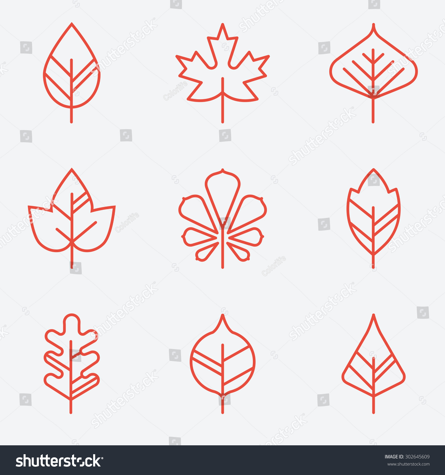 Leaf Icons Thin Line Style Flat Stock Vector (Royalty Free) 302645609 ...