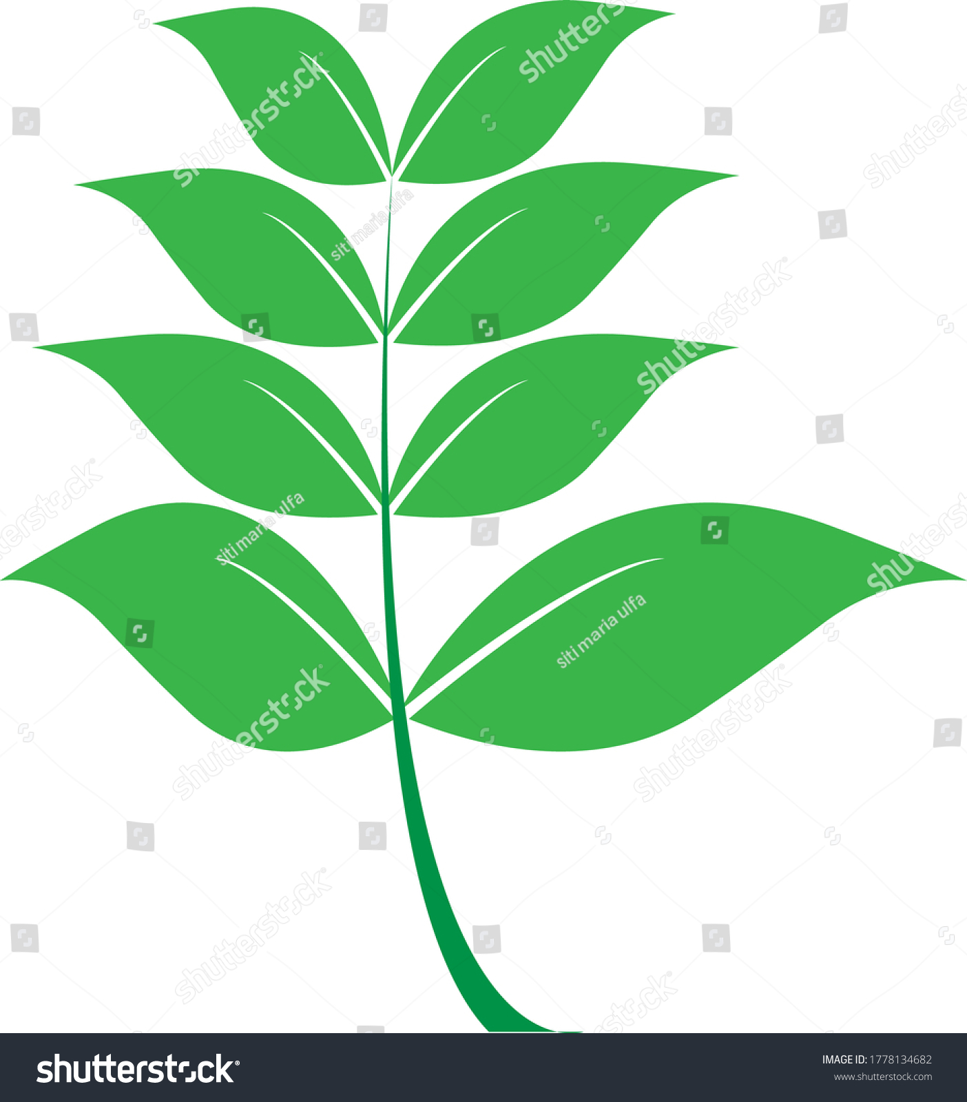 Leave Design Logo Vector Stock Stock Vector (Royalty Free) 1778134682