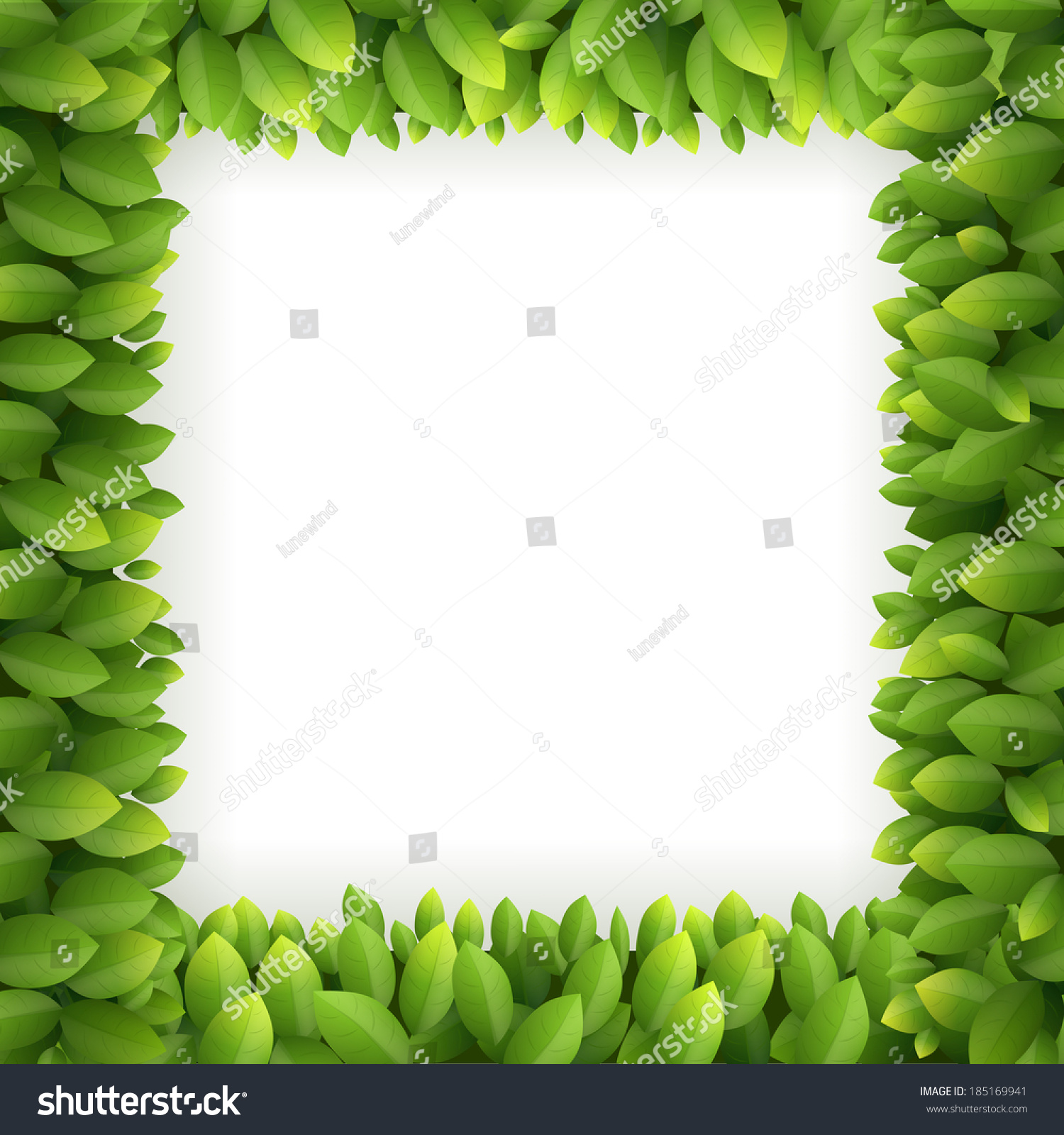 Leaves Frame Isolated On White Background Stock Vector (Royalty Free ...