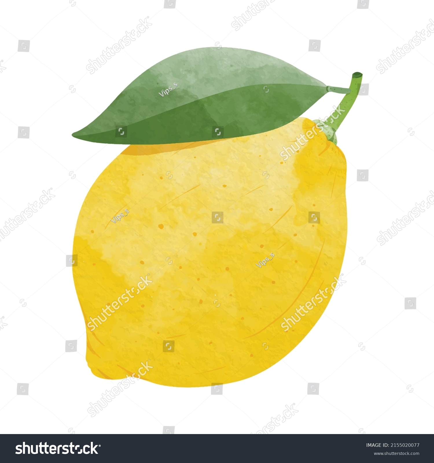 Lemon Fruit Design Elements Watercolour Style Stock Vector (Royalty ...