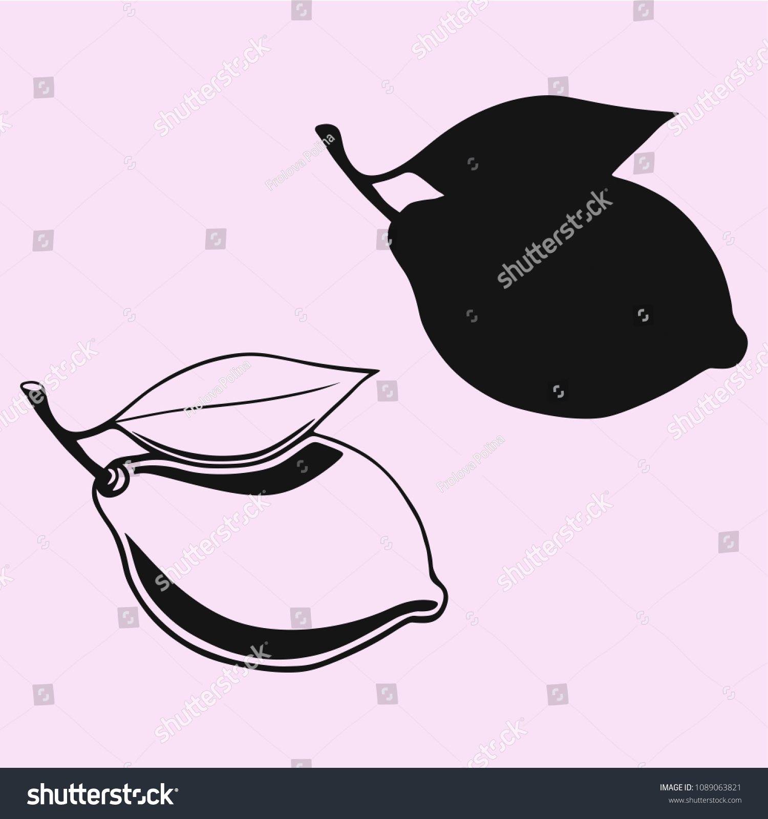 Lemon Leaf Vector Silhouette Isolated Stock Vector (Royalty Free ...