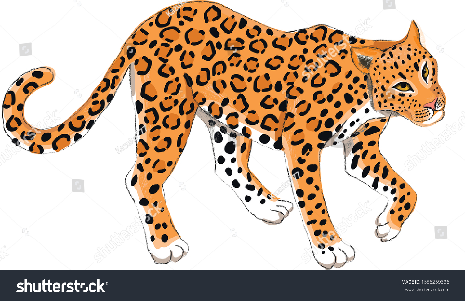 Vektor Stok Leopard Vector Drawing On Transparent Background (Tanpa ...