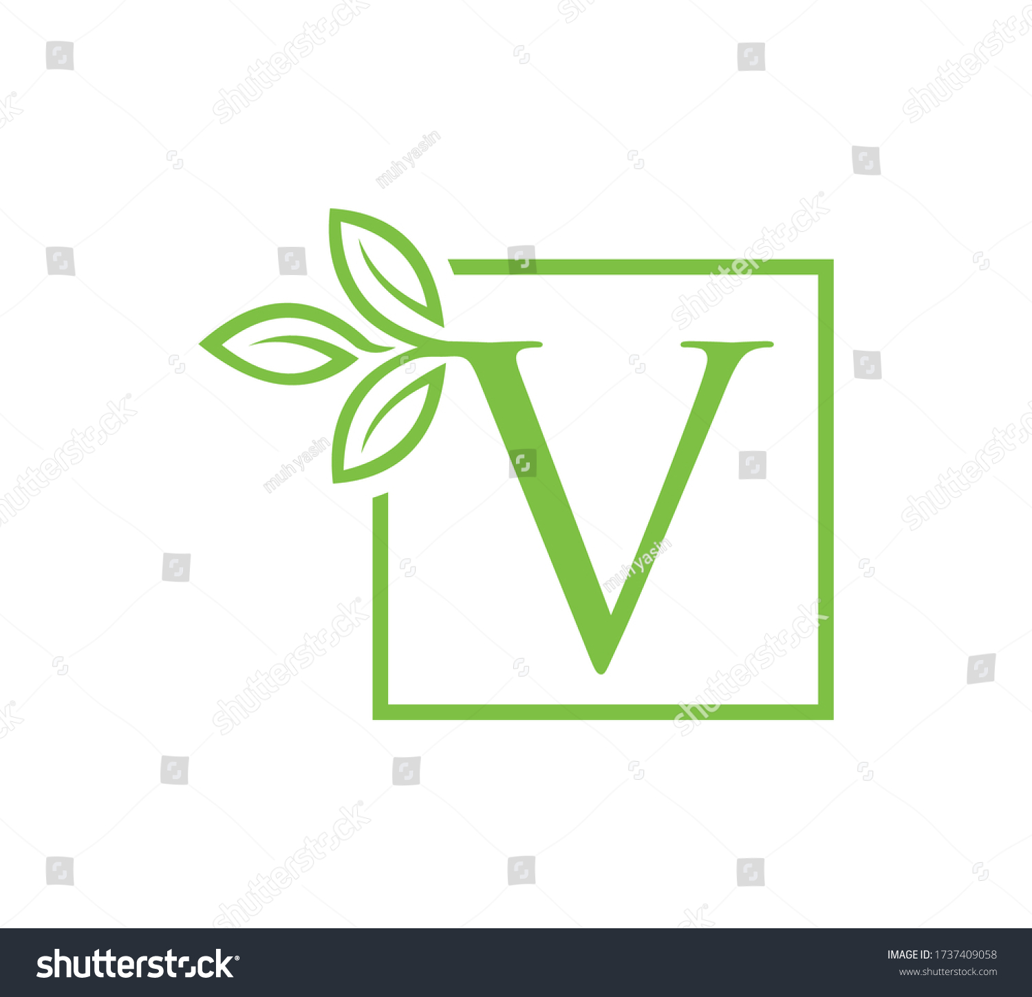 Leter V Leaf Logo Vector Stock Vector (Royalty Free) 1737409058 ...