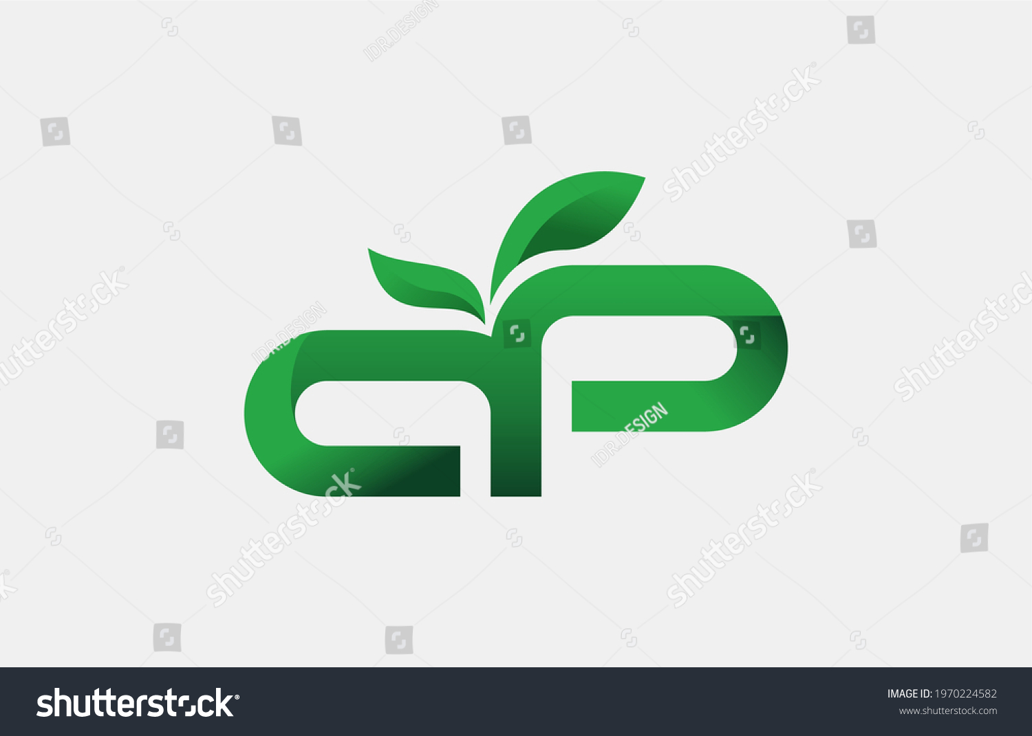 Letter Ap Green Leaf Logo Stock Vector (Royalty Free) 1970224582 ...