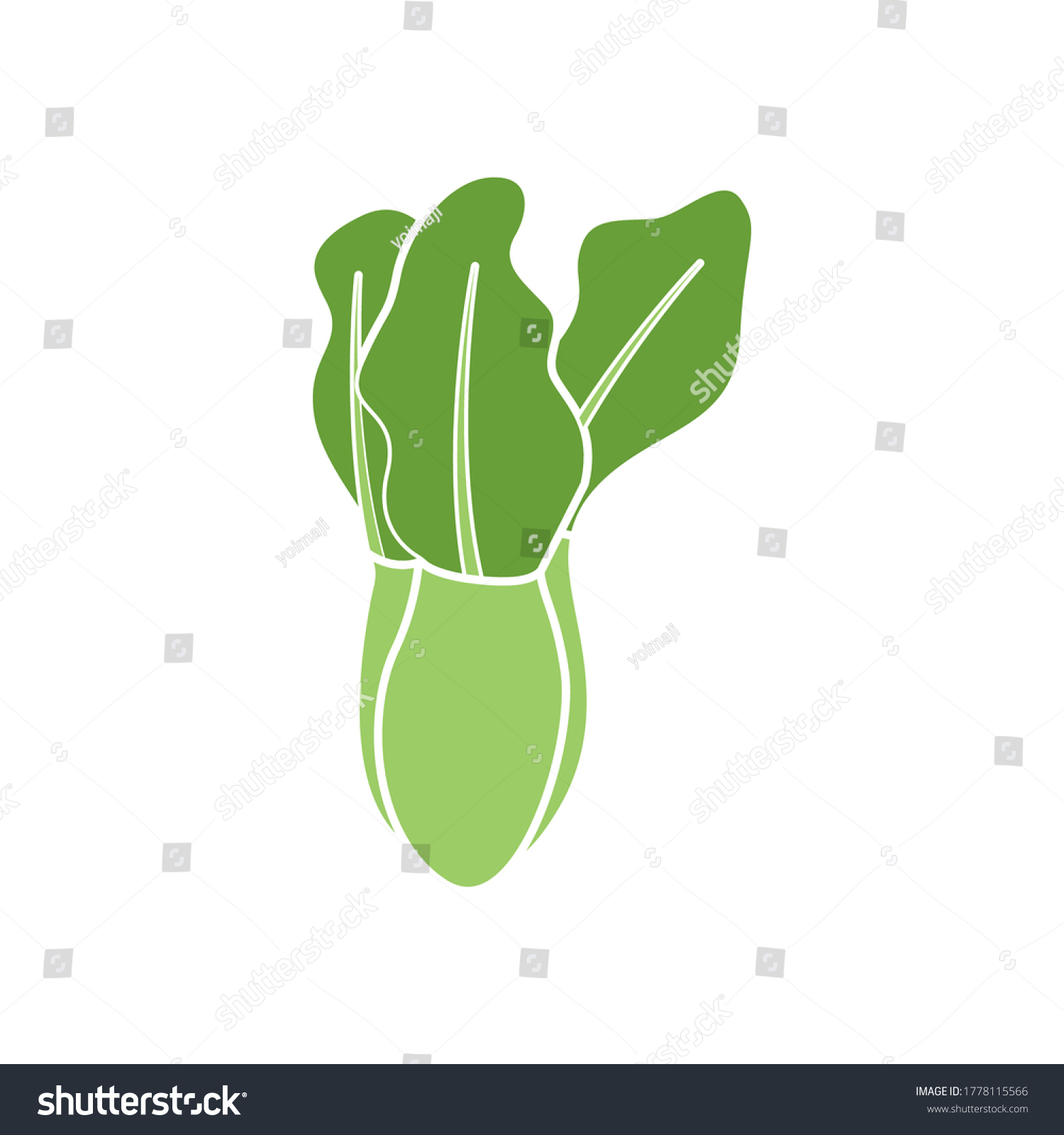 Lettuce Vector Design Template Illustration Stock Vector (Royalty Free ...