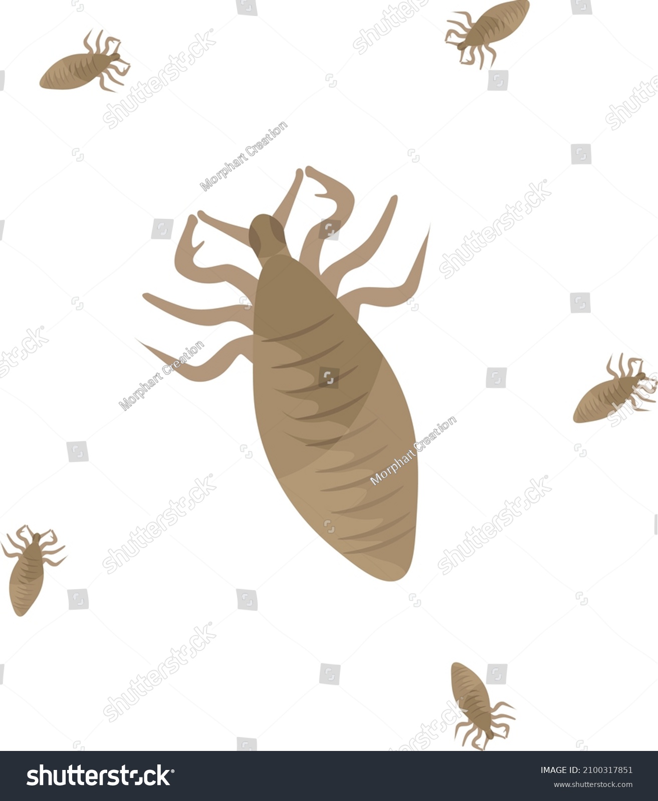 509 Dog lice Images, Stock Photos & Vectors | Shutterstock
