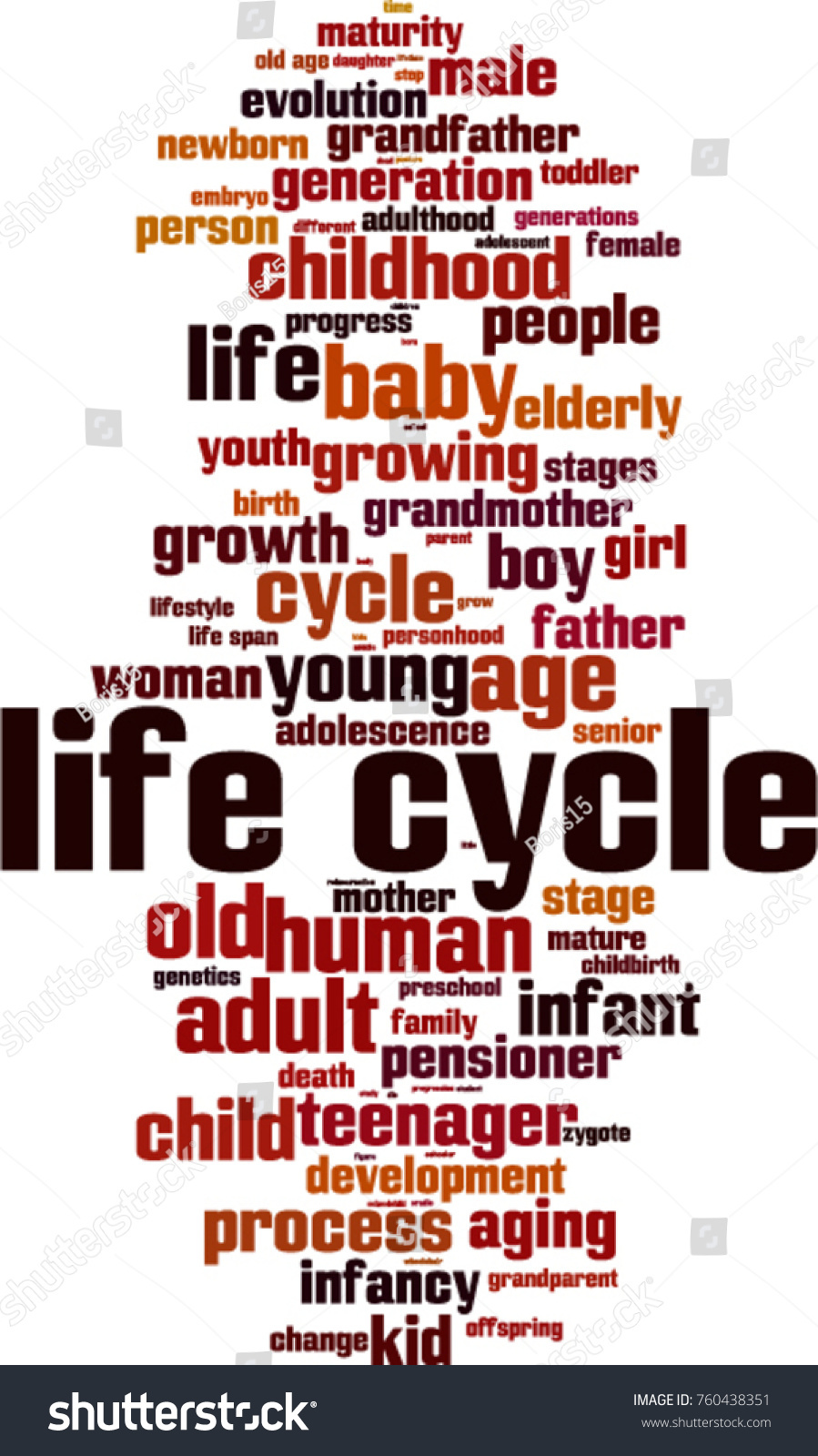 Life Cycle Word Cloud Concept Vector Stock Vector (Royalty Free ...