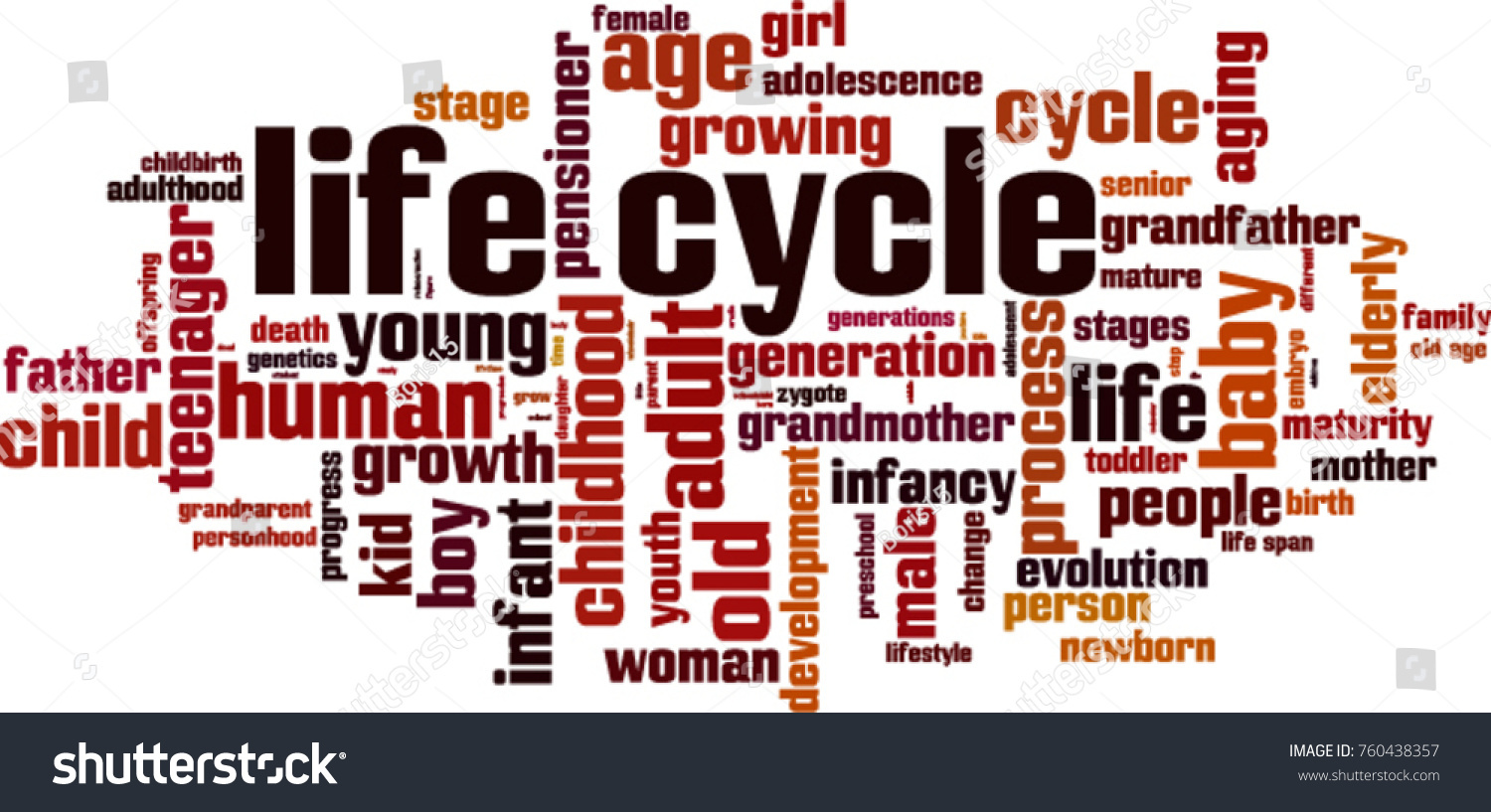 Life Cycle Word Cloud Concept Vector: เวกเตอร์สต็อก (ปลอดค่าลิขสิทธิ์ ...