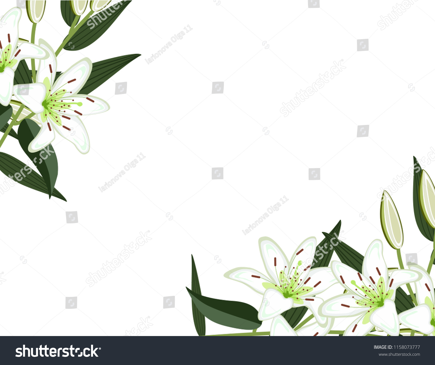 Lily Flowers Frame Stock Vector (Royalty Free) 1158073777