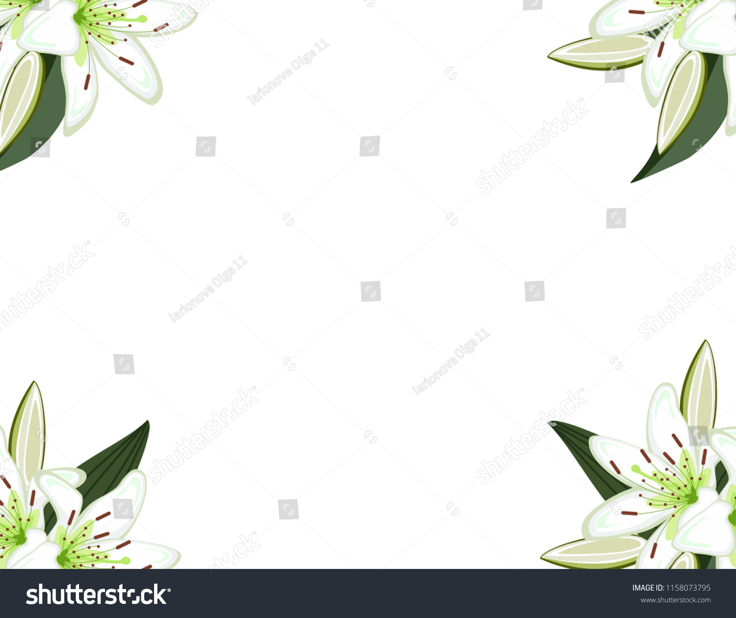 Lily Flowers Frame Stock Vector (Royalty Free) 1158073795 | Shutterstock