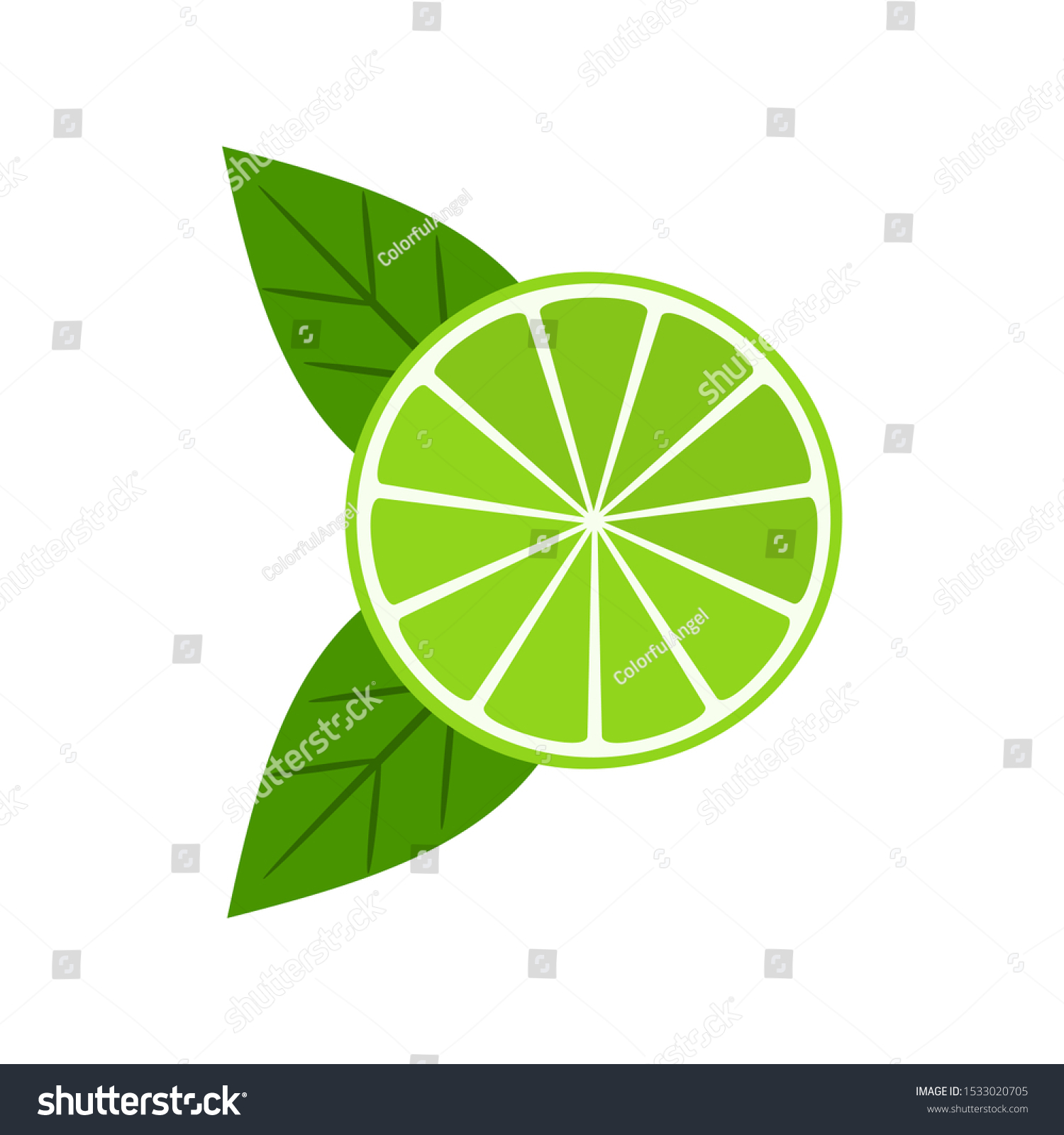 Lime Slice Leaf Isolated On White Stock Vector (Royalty Free ...