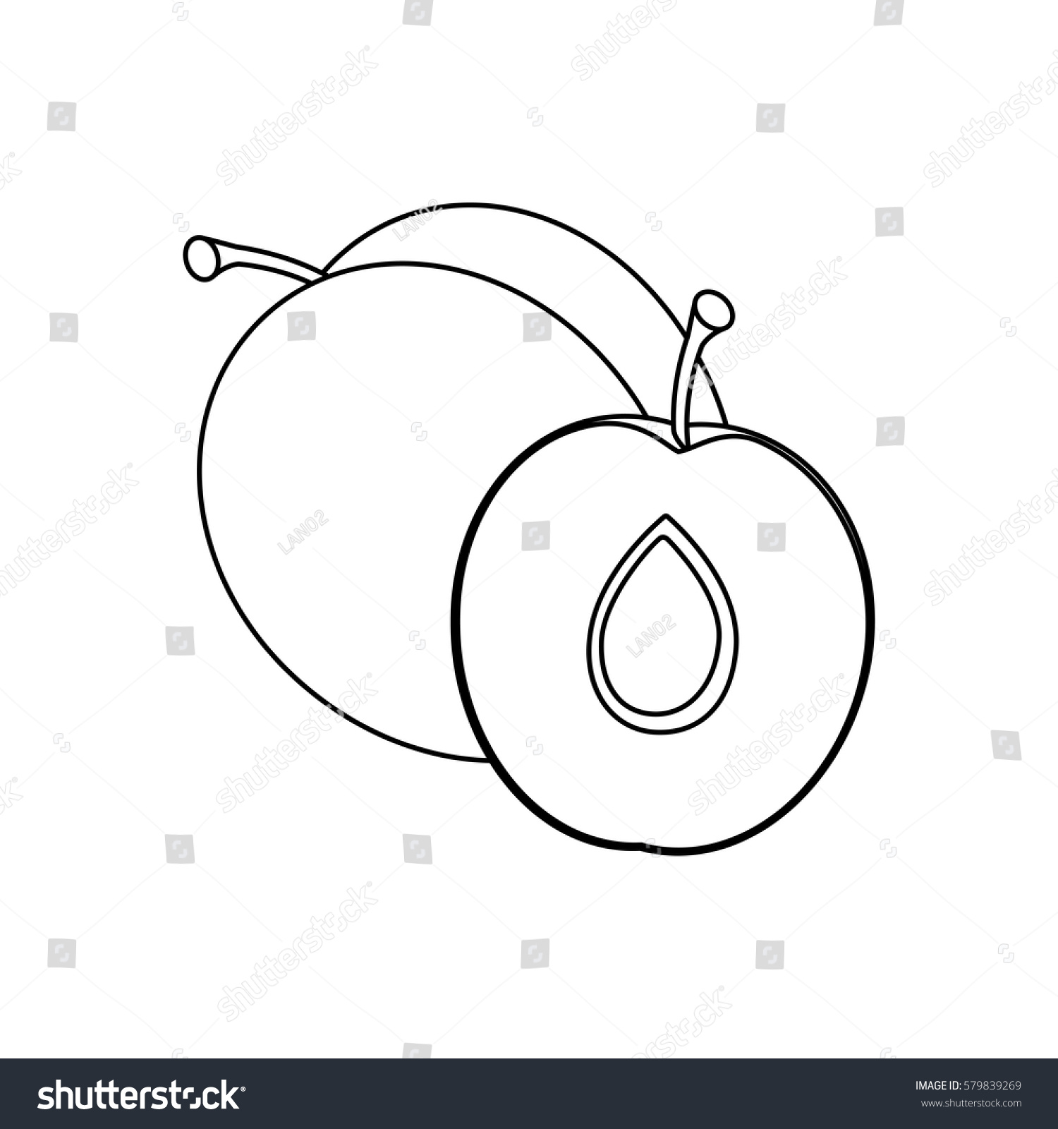 Line Drawing Fruit Stock Vector (Royalty Free) 579839269 | Shutterstock