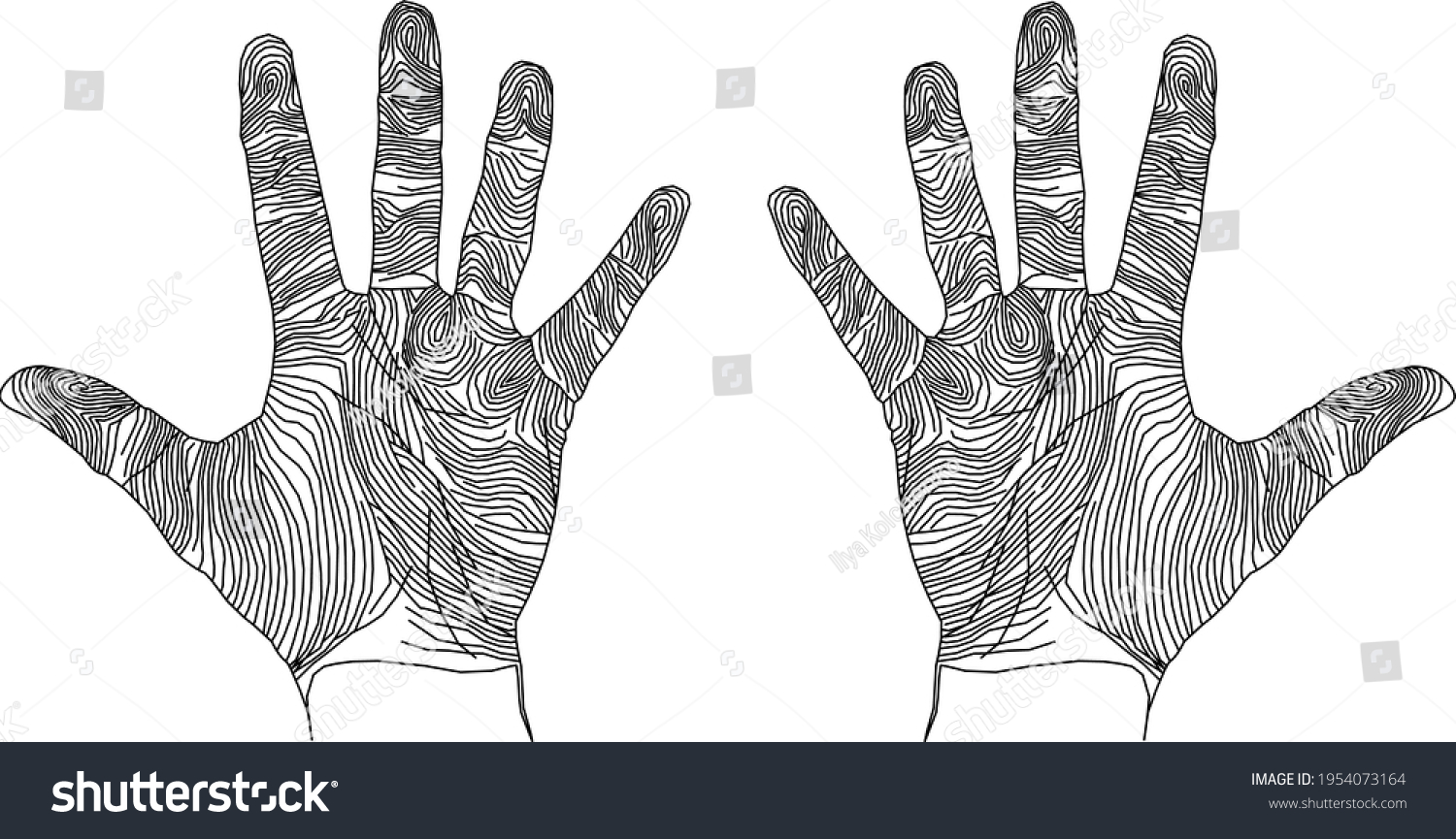 Linear Hand Prints On White Background Stock Vector (Royalty Free ...