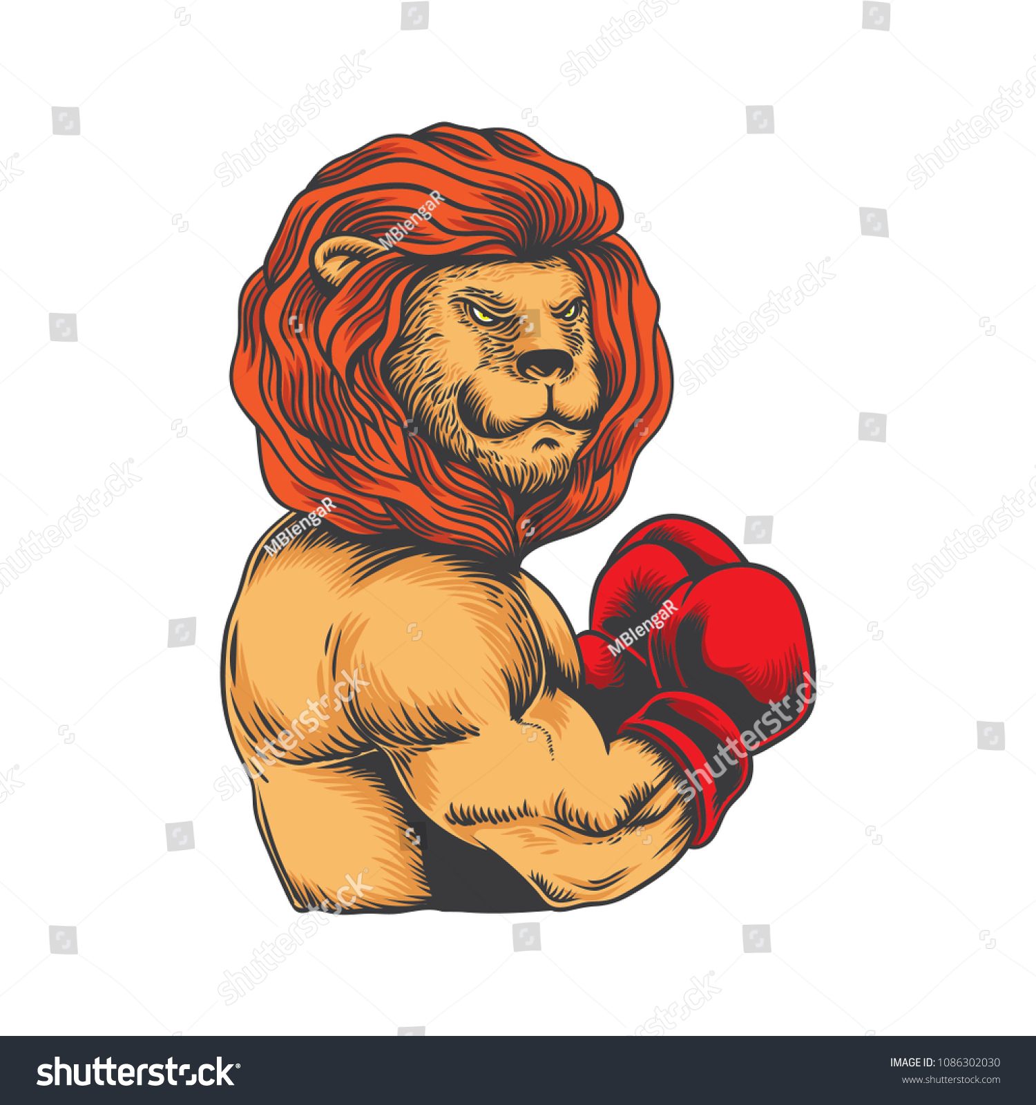 Lion Boxing Vector: vector de stock (libre de regalías) 1086302030 ...