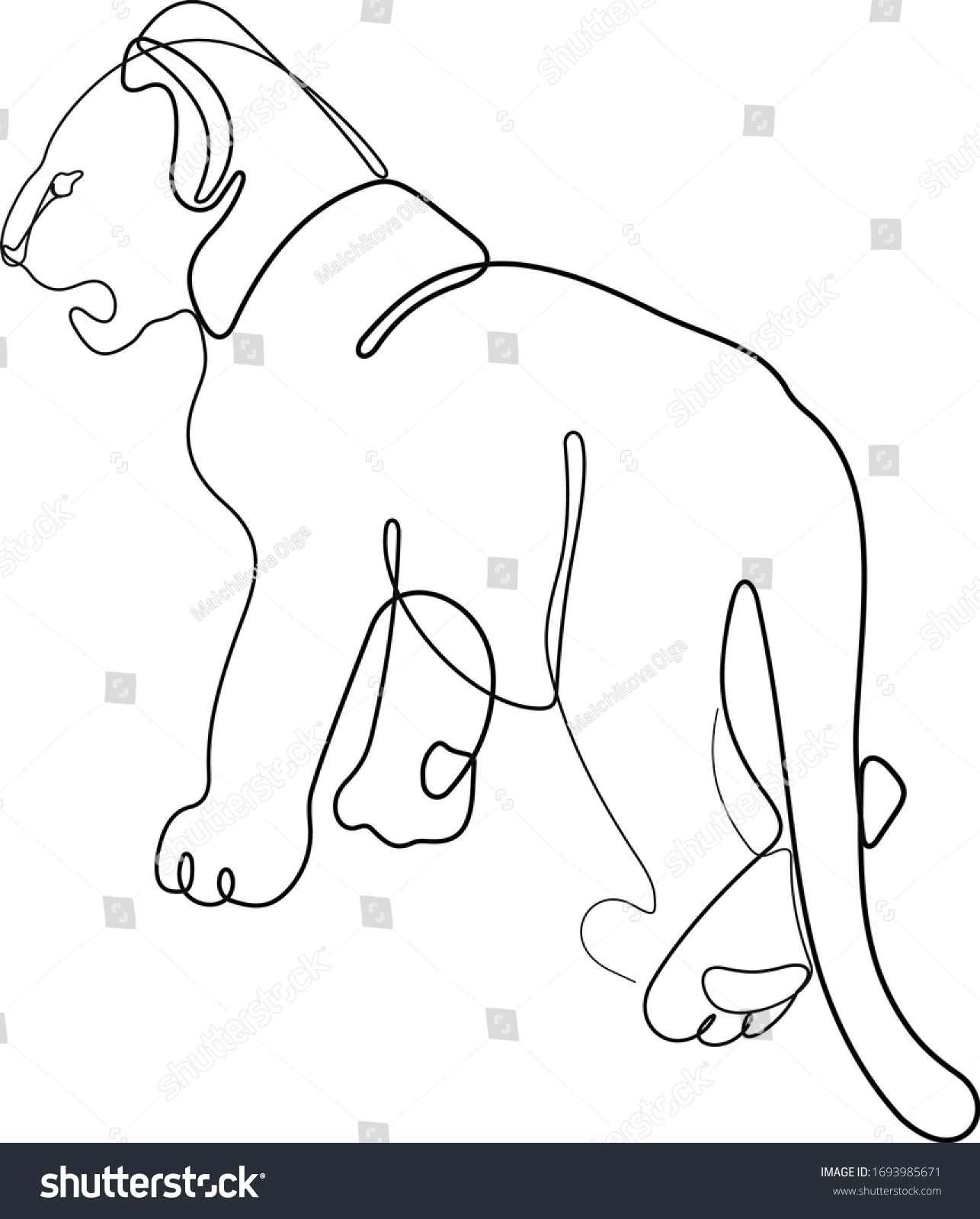 Lion Cub One Line Drawing Continuous: เวกเตอร์สต็อก (ปลอดค่าลิขสิทธิ์ ...
