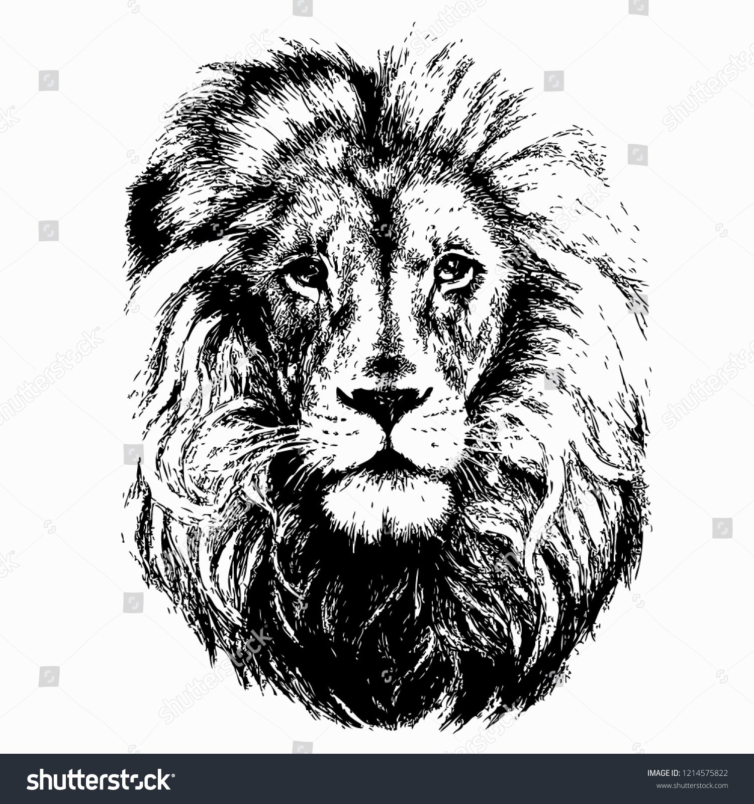 Lion Head Isolated White Background Vector Stock Vector (Royalty Free ...