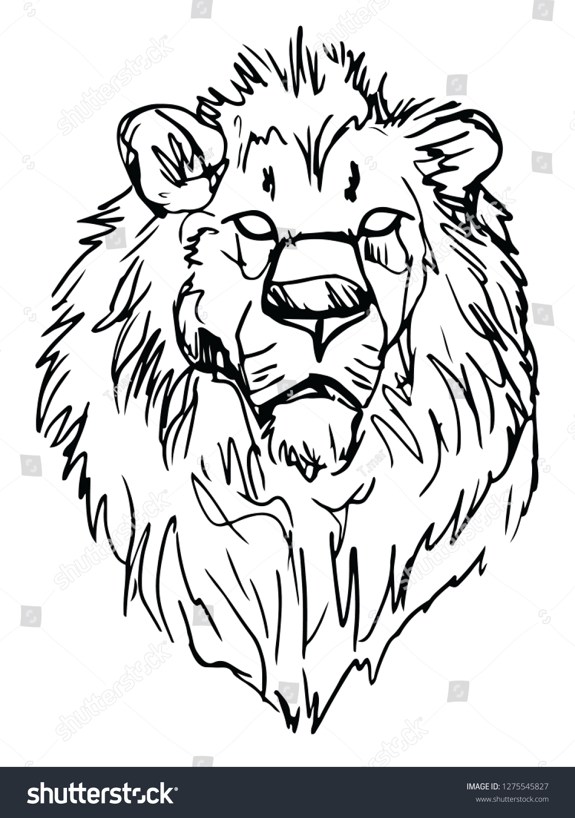 Lion Head Sketch Drawing Vector Image Stock Vector (Royalty Free ...
