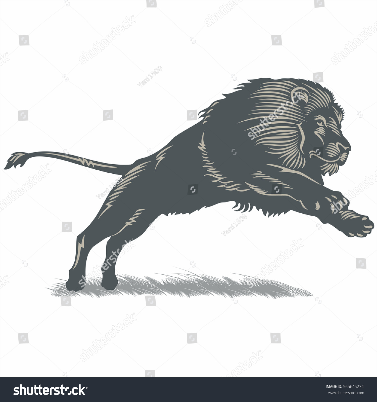 Lion Jumping On Grass Illustration Vector Stock Vector (Royalty Free ...